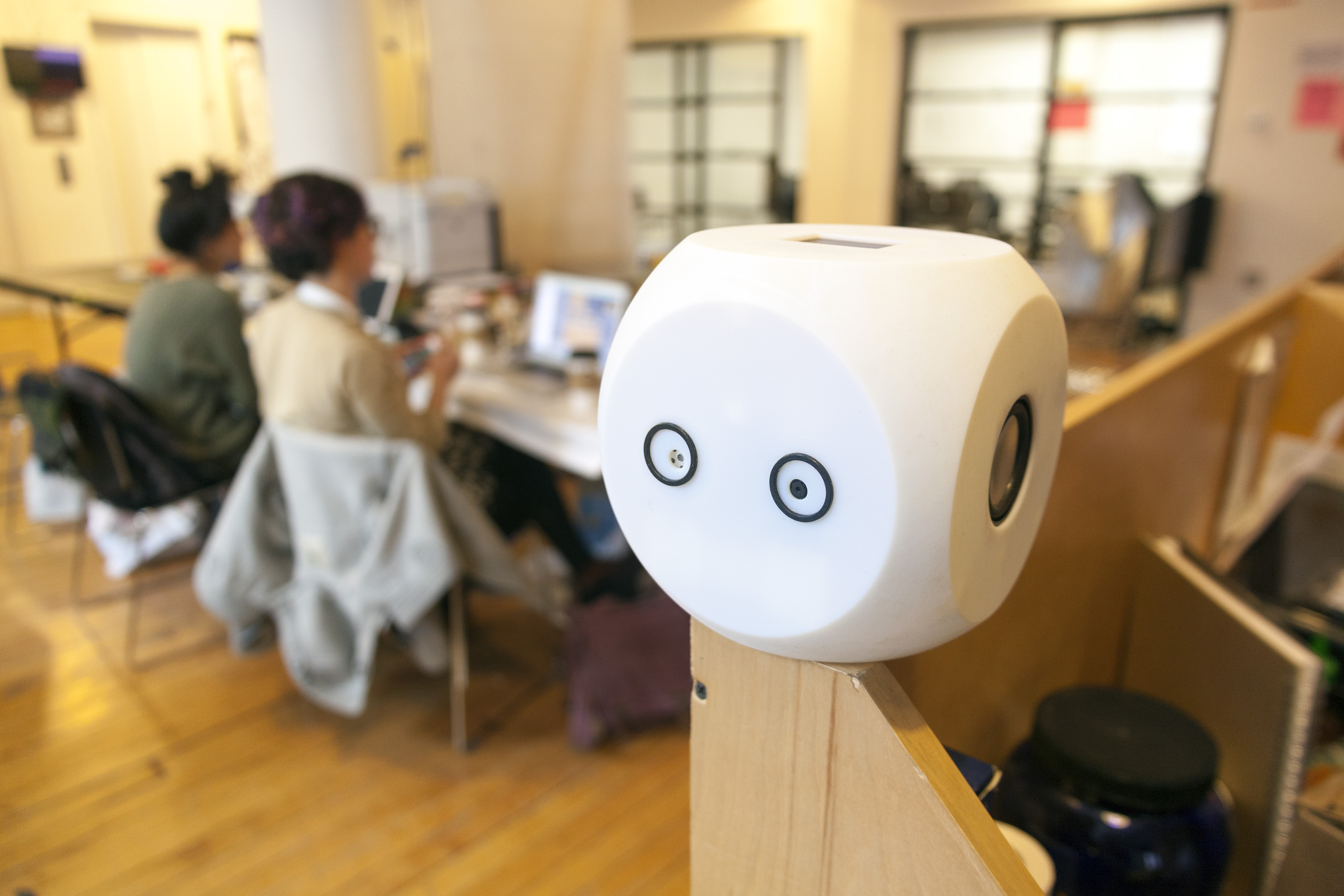 Noodle: a Crowdsourced Robot : 19 Steps (with Pictures) - Instructables