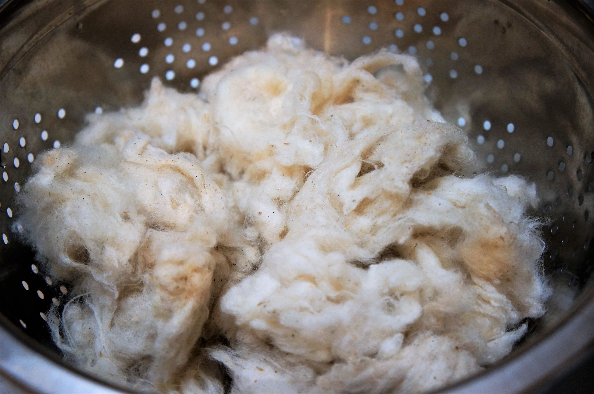 How to Process Card and Dye Raw Wool : 12 Steps (with Pictures ...
