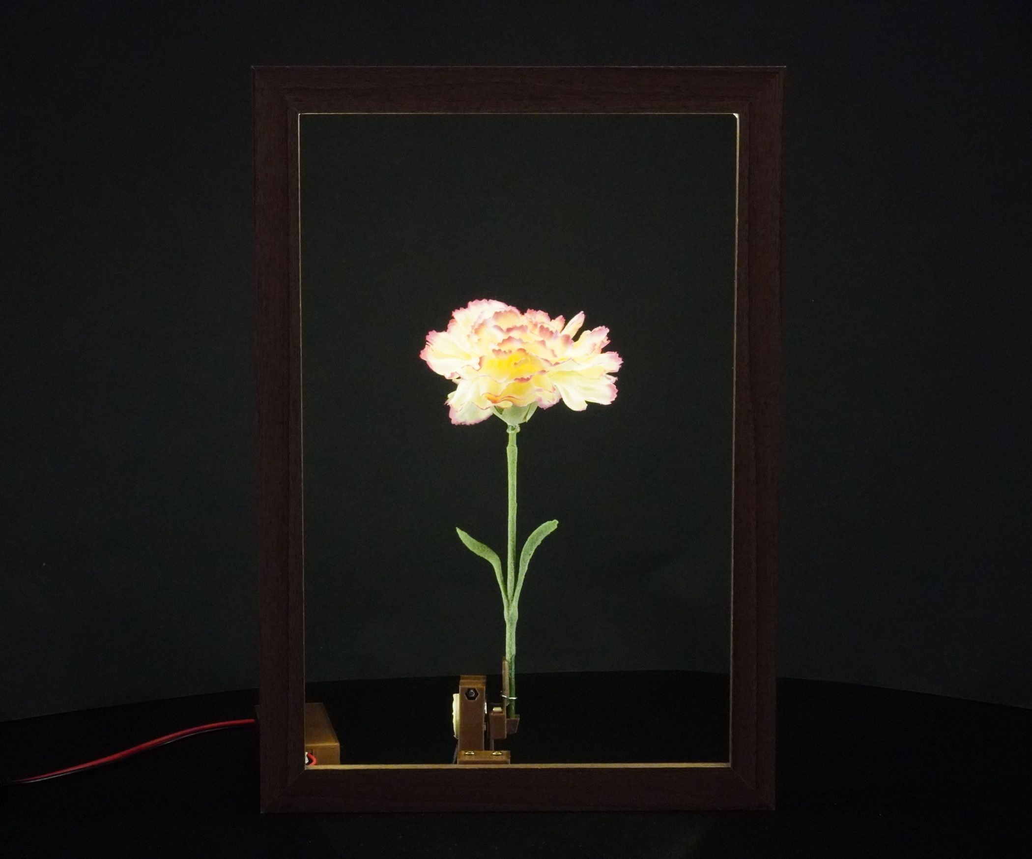 Magic Frame : 4 Steps - Instructables