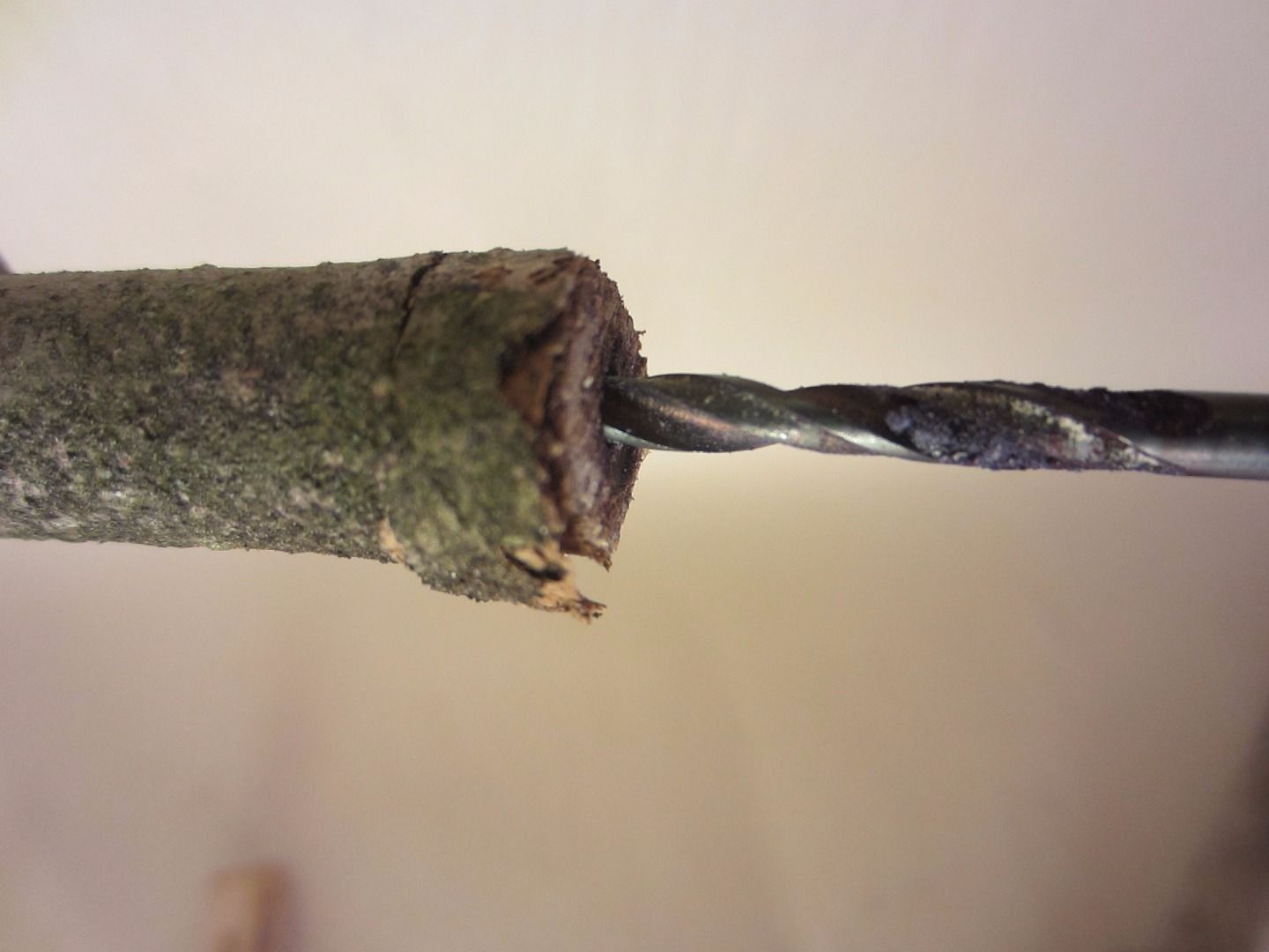 How to Make a Twig Pen : 3 Steps (with Pictures) - Instructables