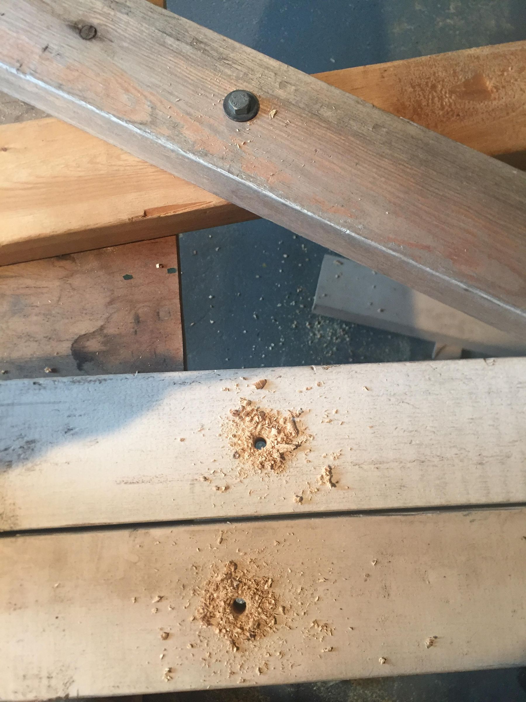 Collapsable Raised Garden Bed : 8 Steps (with Pictures) - Instructables