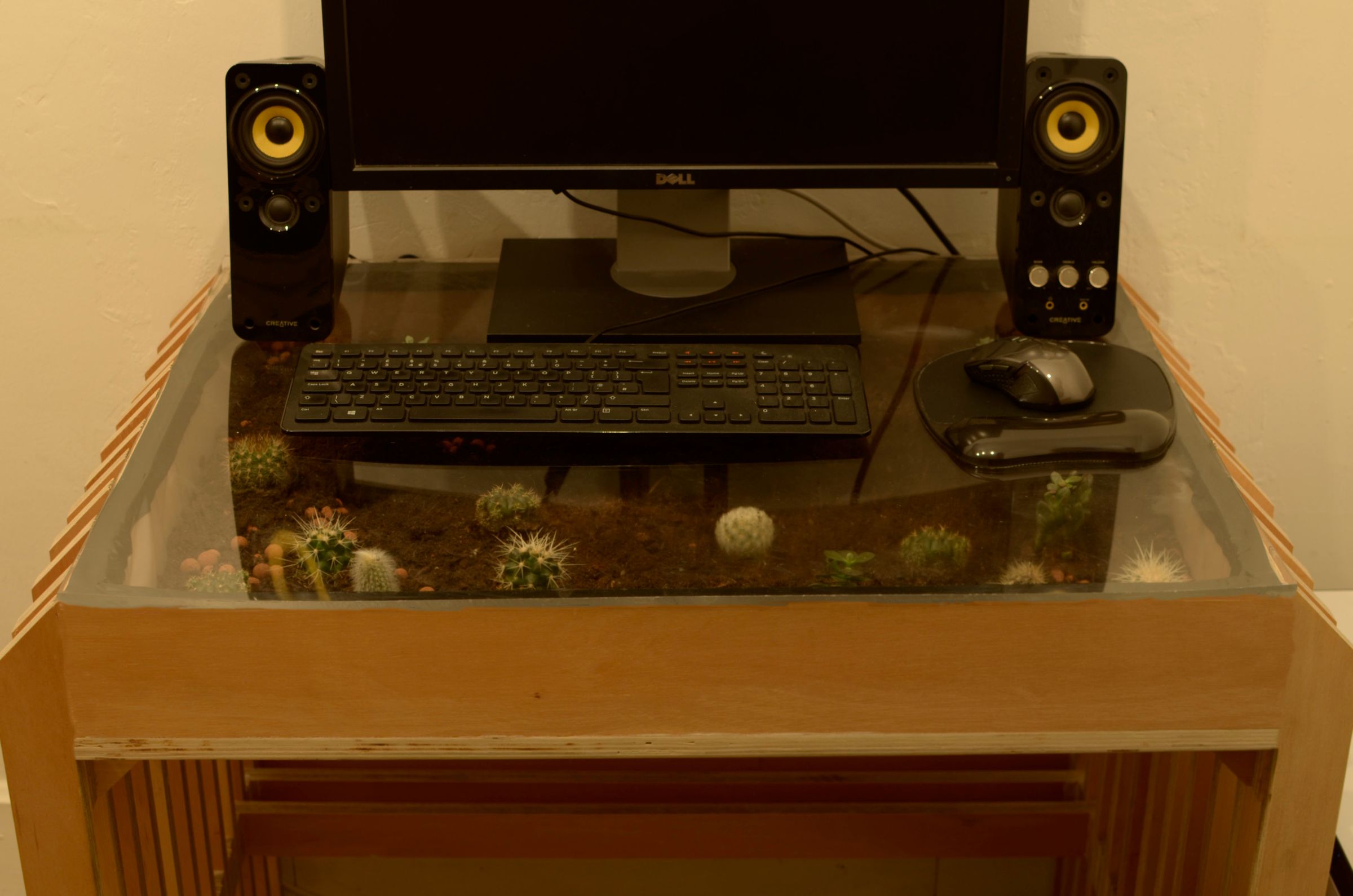 Cactus Terrarium Desk : 5 Steps (with Pictures) - Instructables