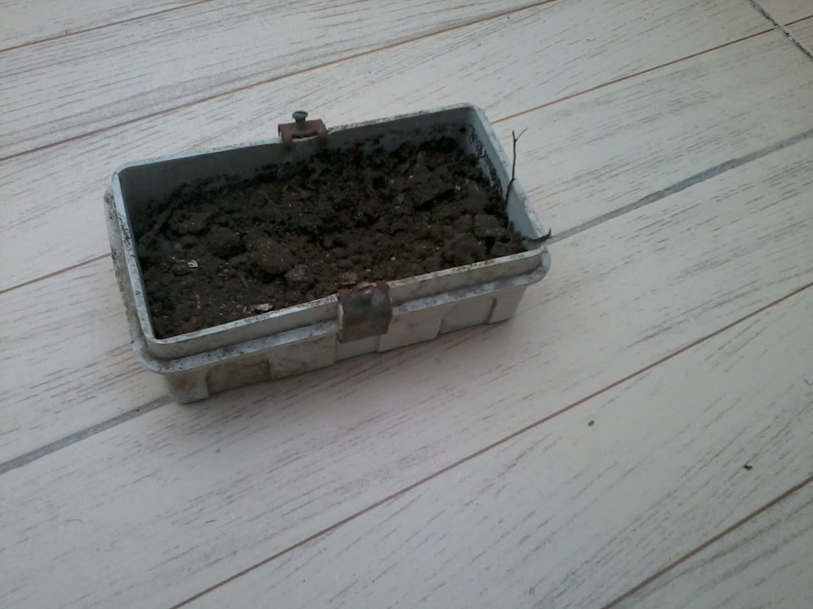 Unusual Gardening Containers : 4 Steps - Instructables