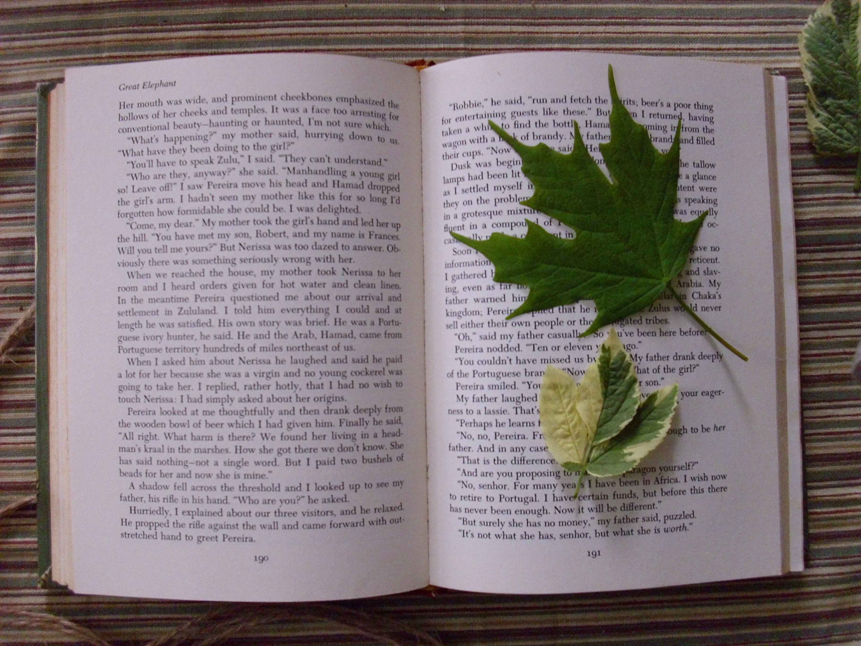 Simple Flower Pressing Book : 5 Steps - Instructables