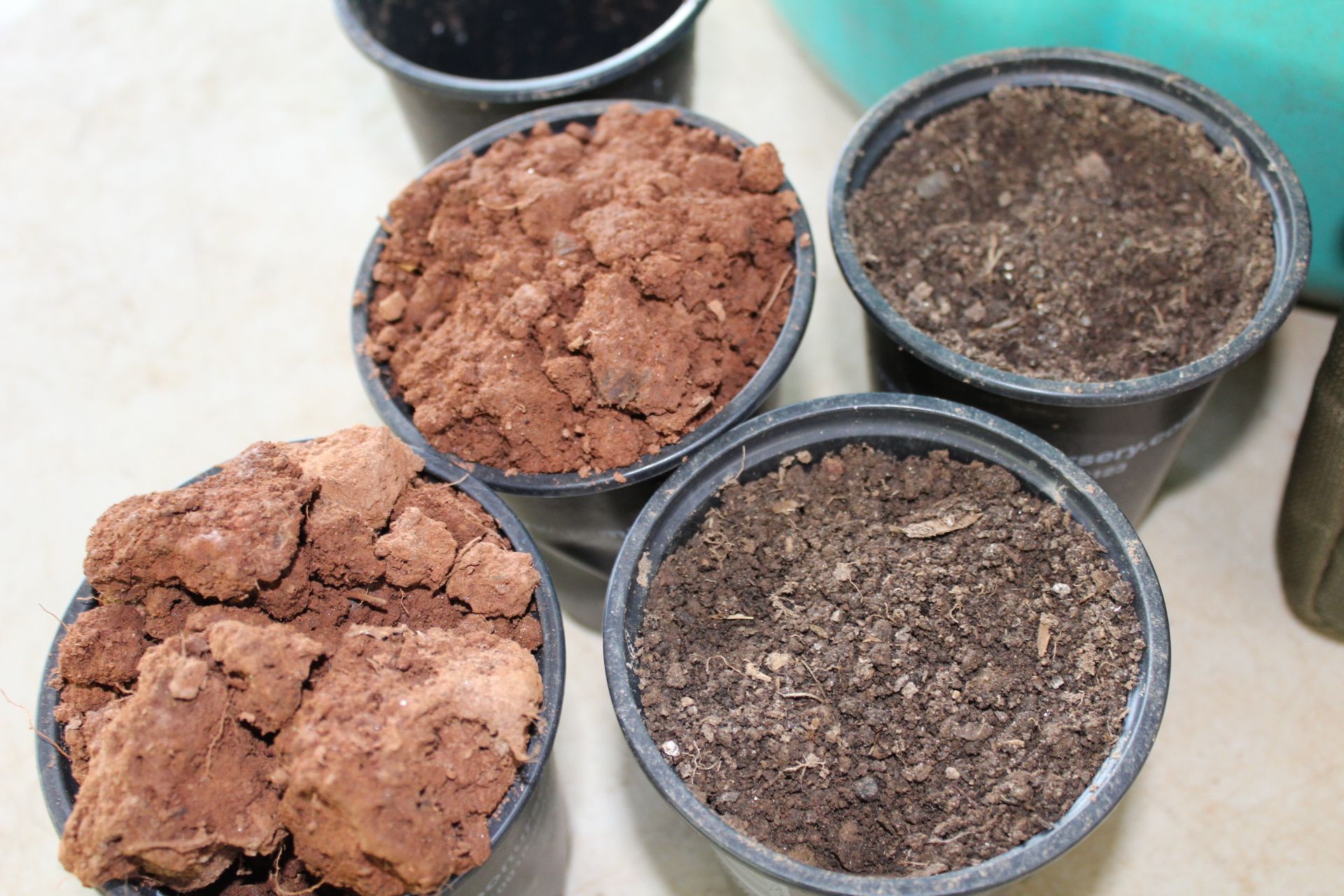 Homemade Pelleted Seeds : 8 Steps (with Pictures) - Instructables