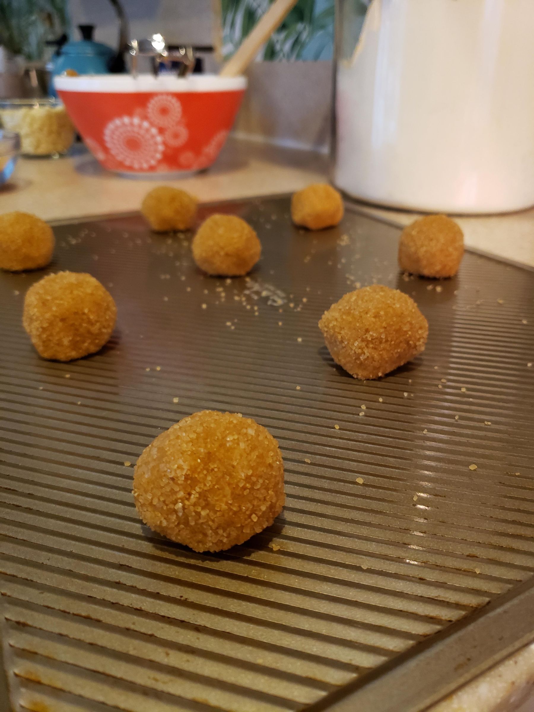 Chocolate Dipped Gingersnaps : 6 Steps (with Pictures) - Instructables