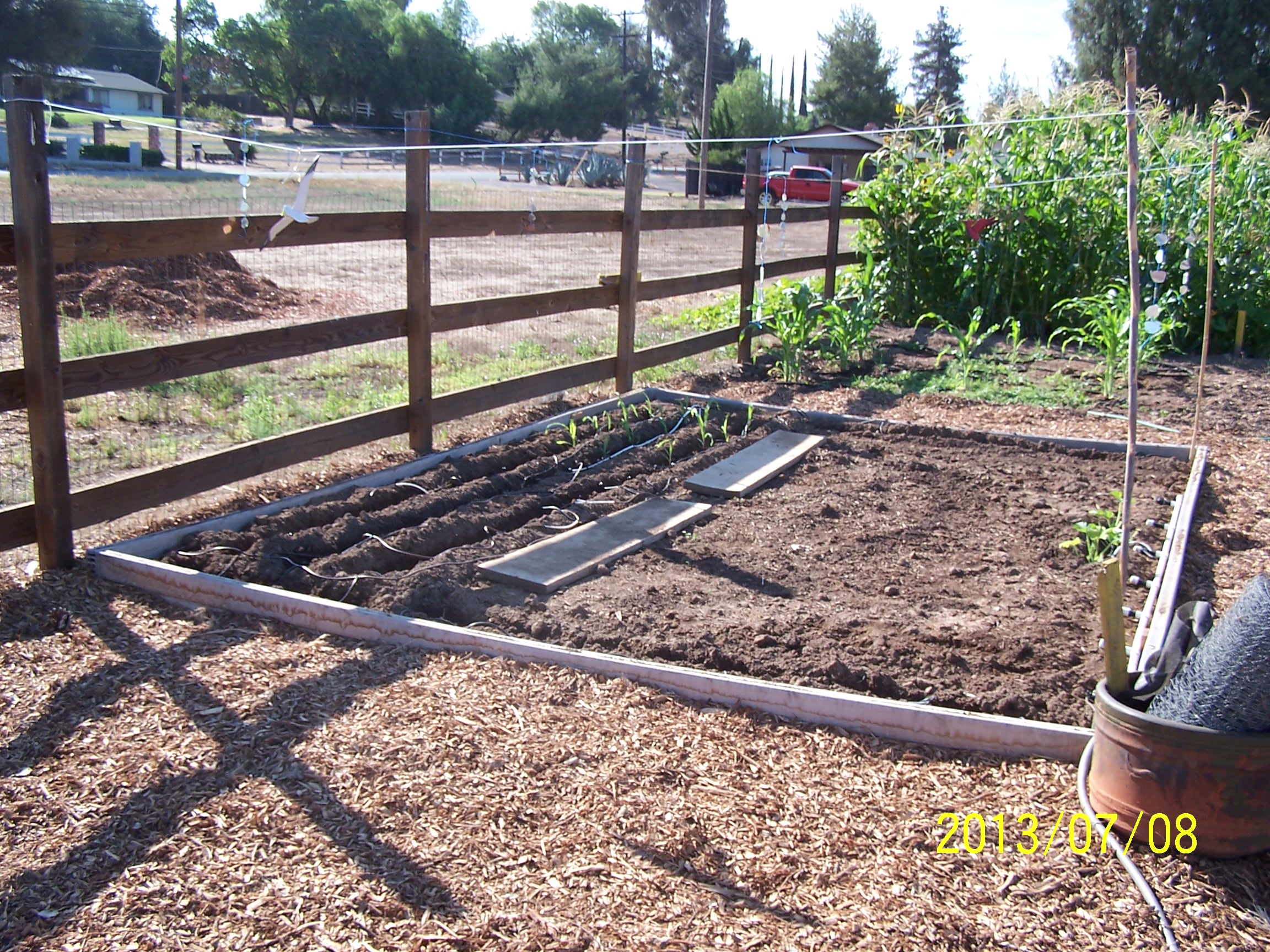 Bird Scarer From Old CDs : 5 Steps (with Pictures) - Instructables