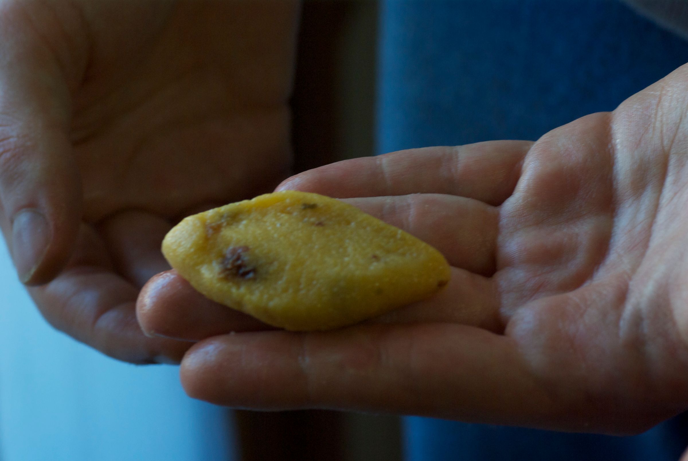 Traditional Italian Biscuits: Zaeti - Biscotti Tradizionali Veneti ...