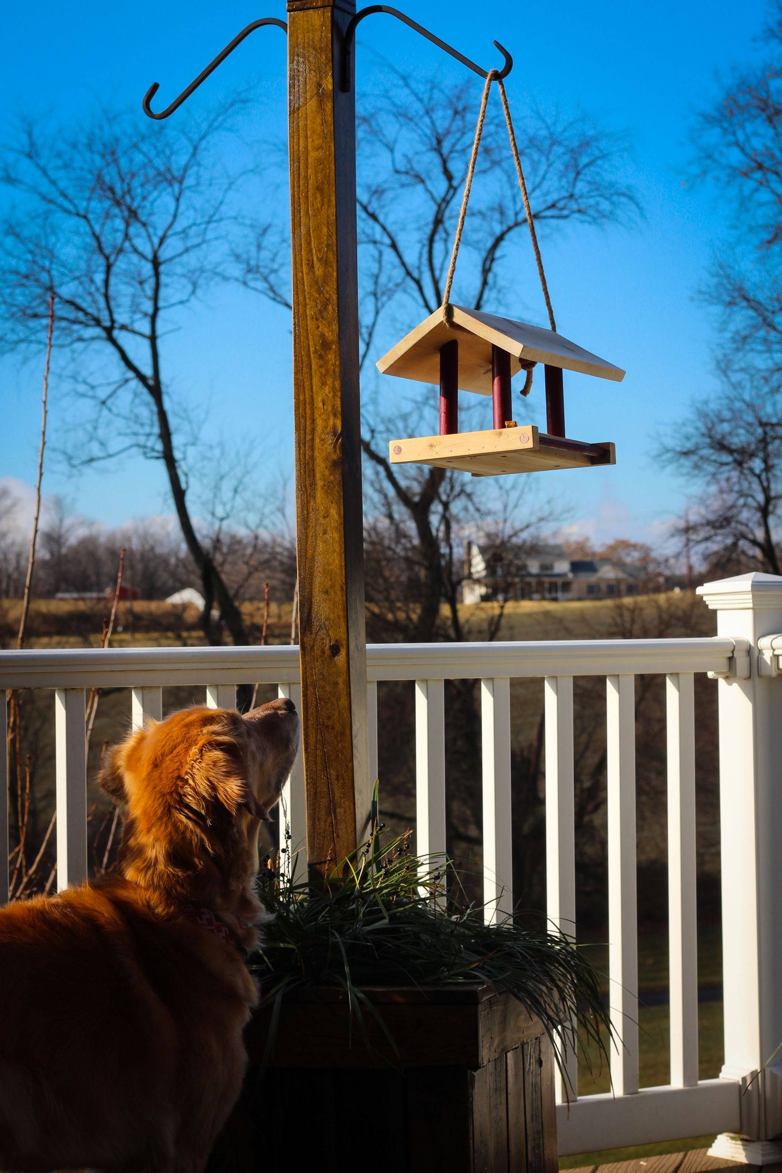 Simple Bird Feeder : 16 Steps (with Pictures) - Instructables