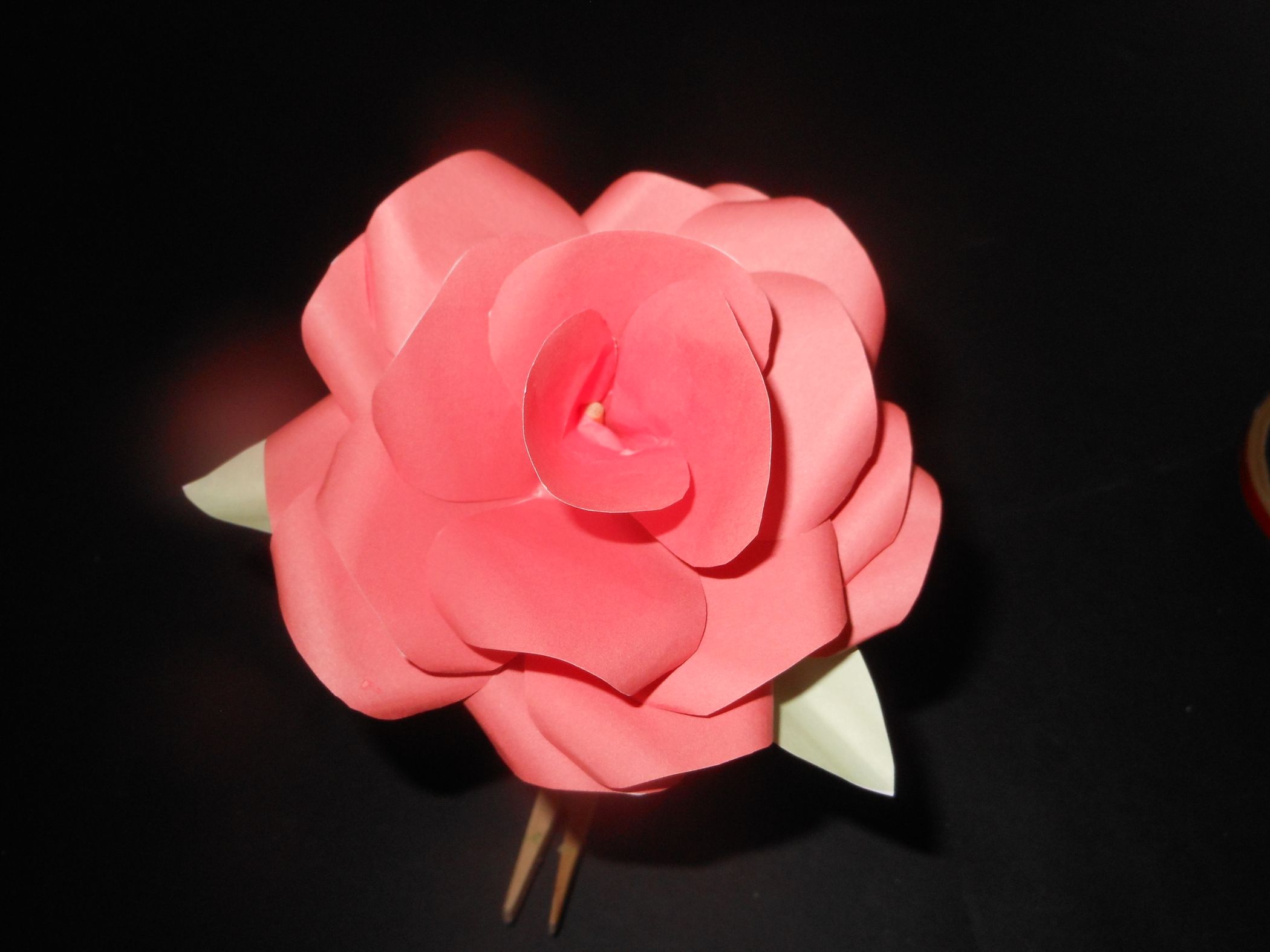 How to Create a Paper Rose : 15 Steps - Instructables