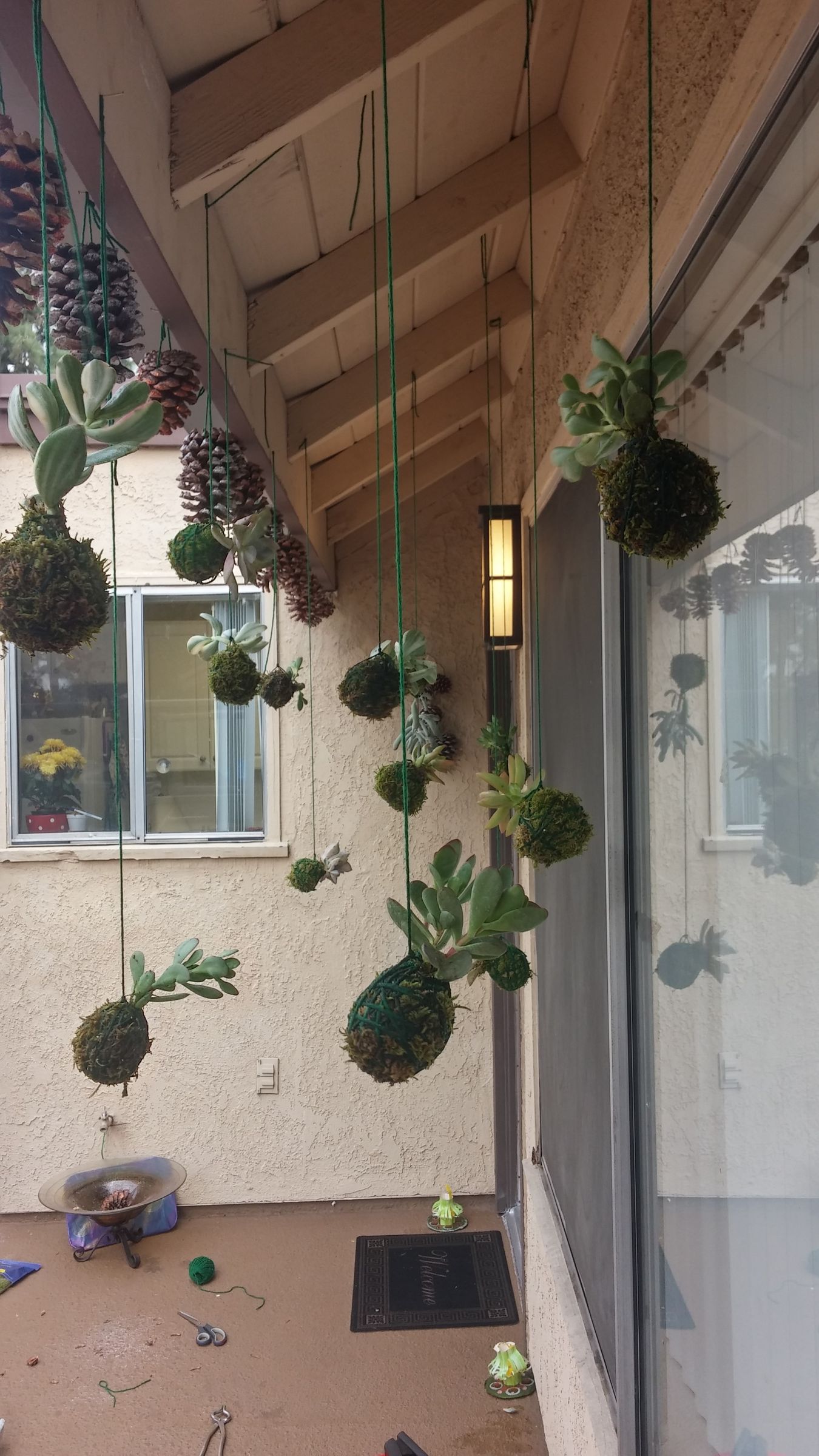 My String Garden : 3 Steps (with Pictures) - Instructables