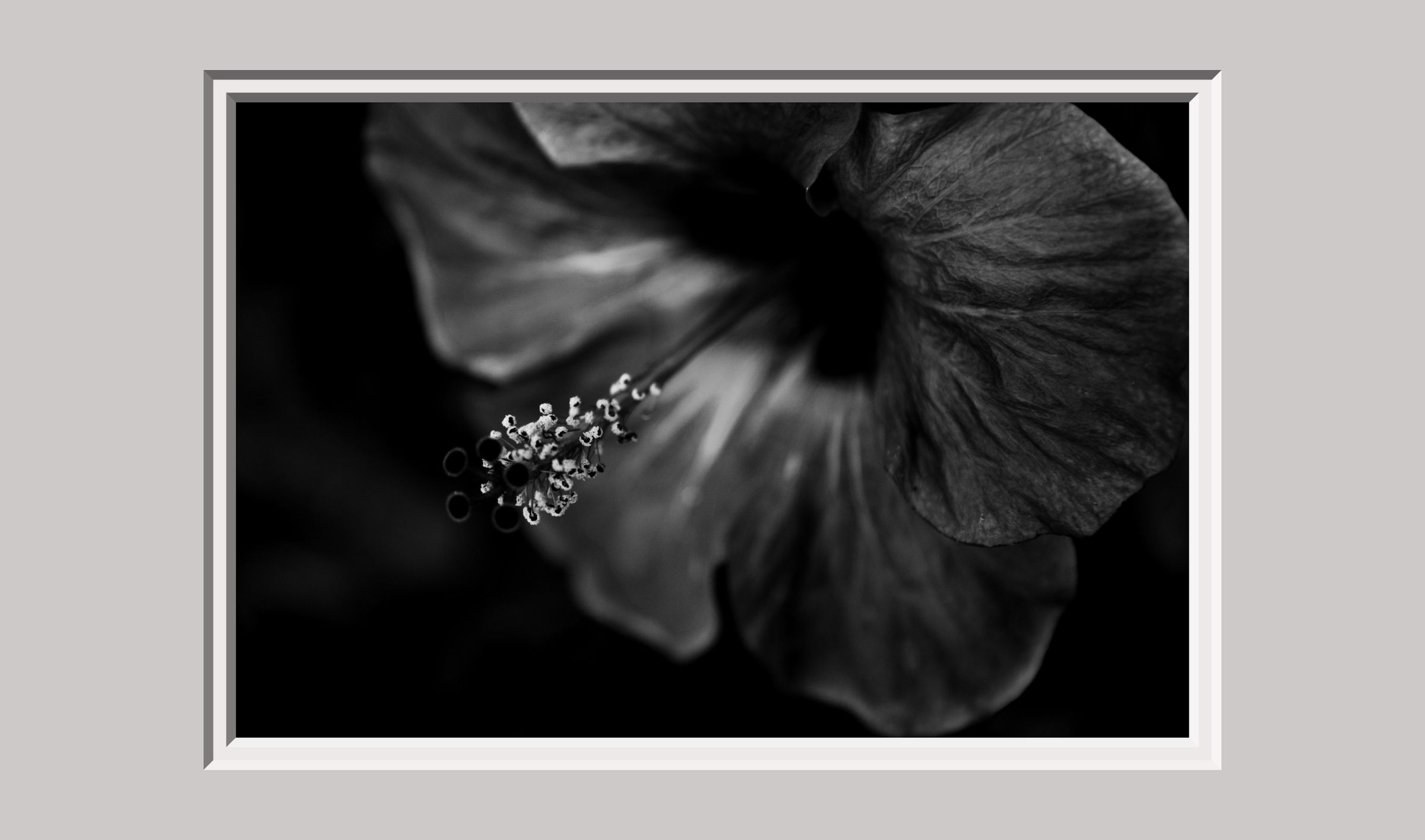 55inches, 4K Digital Photo Frame Display for Around $400 : 7 Steps ...