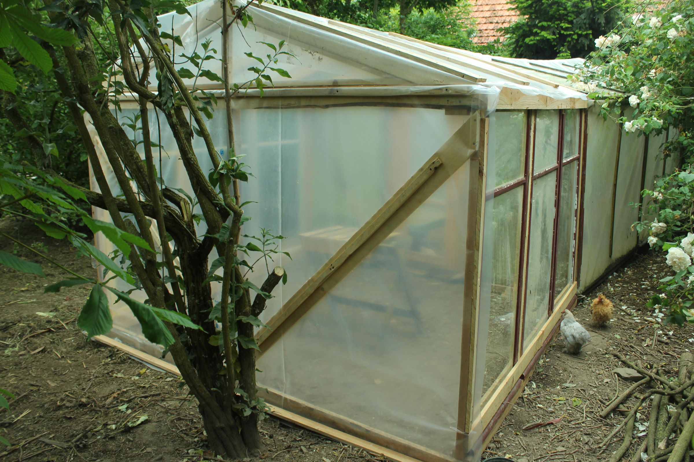 Greenhouse Extension - Making a Safe Living, Nesting & Brooding Area ...
