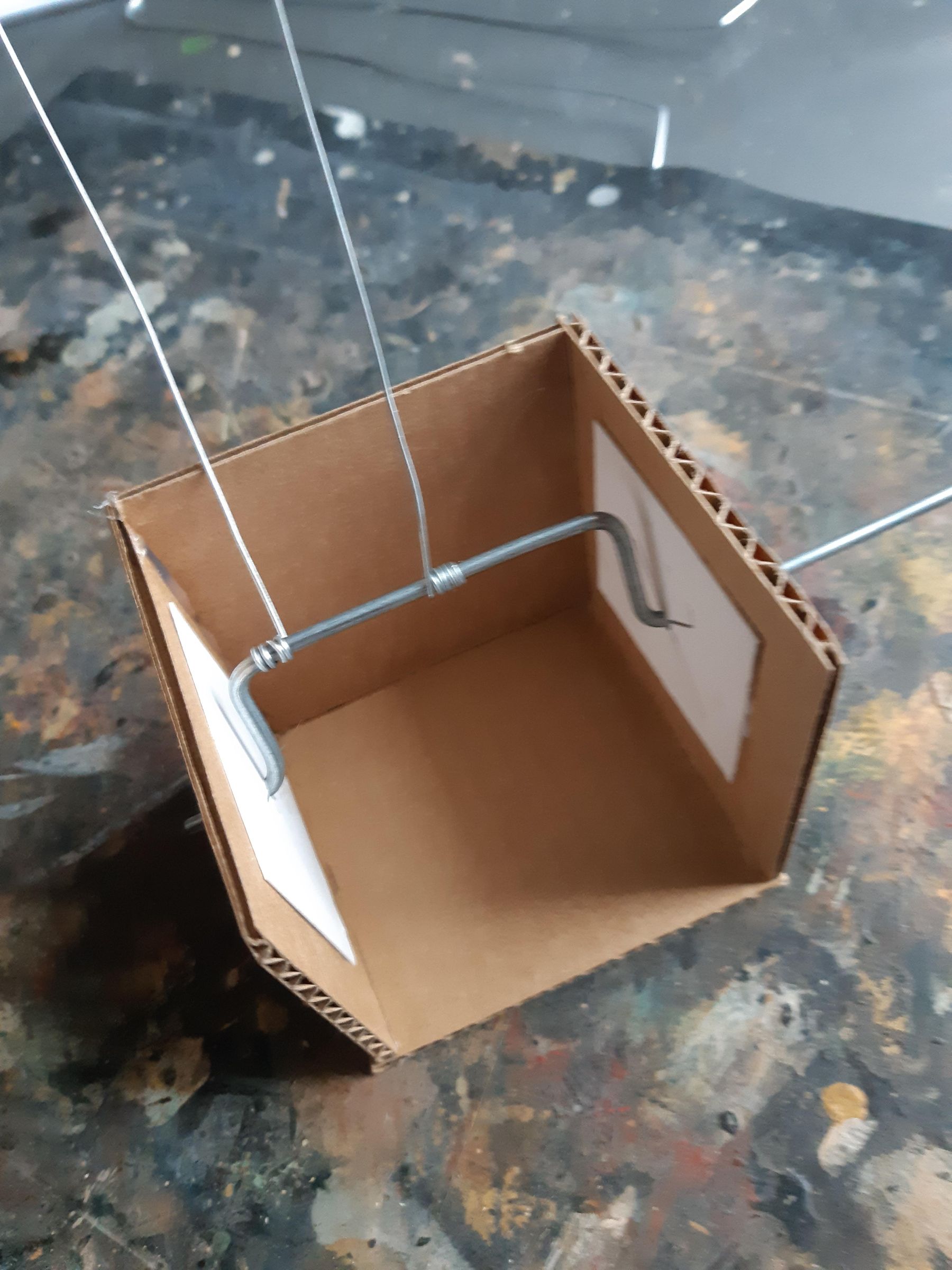 Bird Out of the Box : 10 Steps (with Pictures) - Instructables