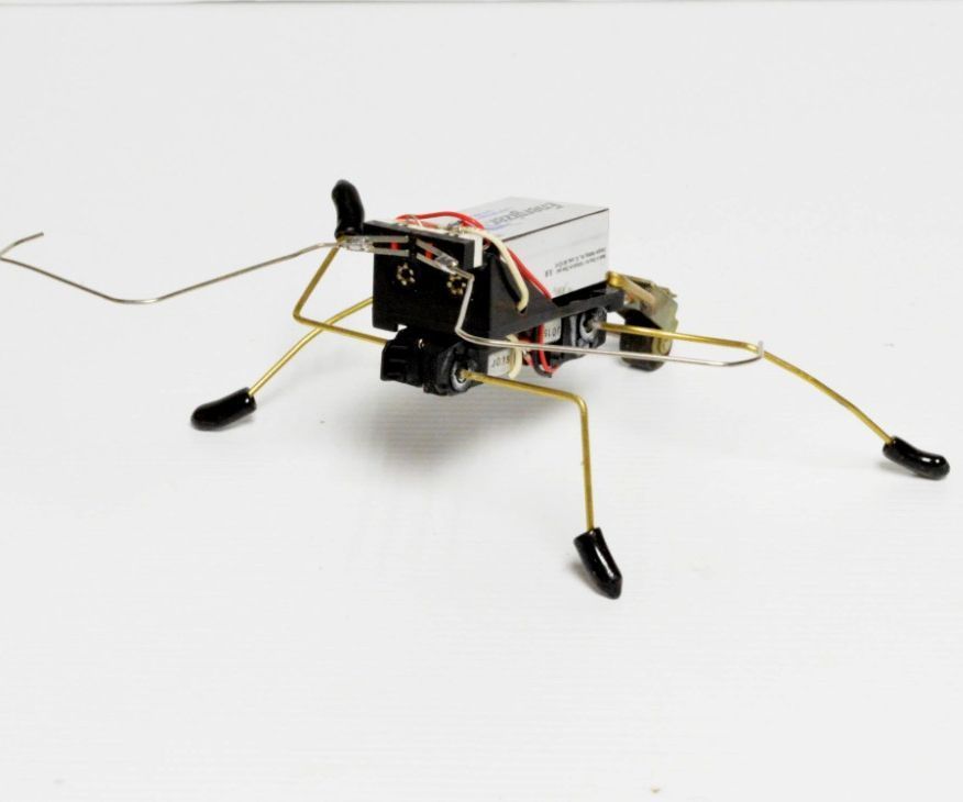 Robot Mechanical Beetle. V1 : 9 Steps (with Pictures) - Instructables