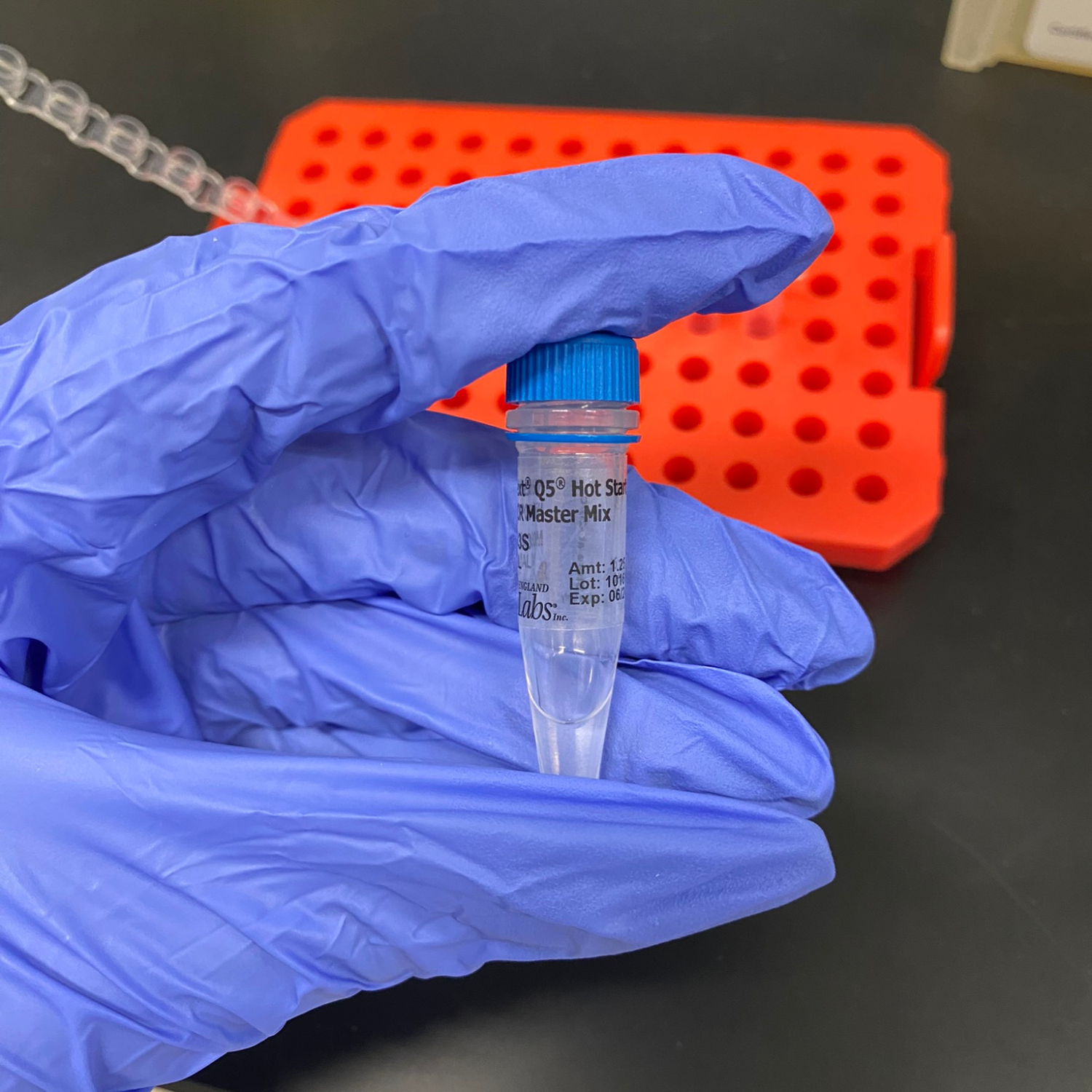 Mastering Molecular Cloning: a Guide to Polymerase Chain Reaction (PCR ...