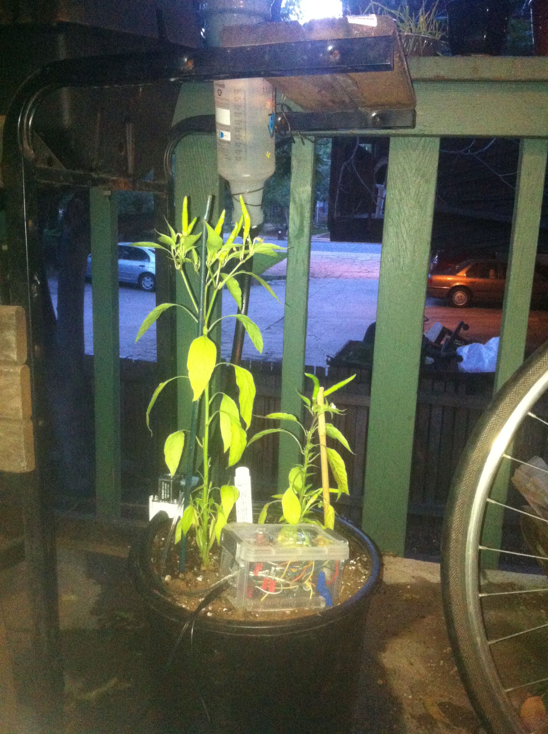 Arduino Gardening : 8 Steps - Instructables