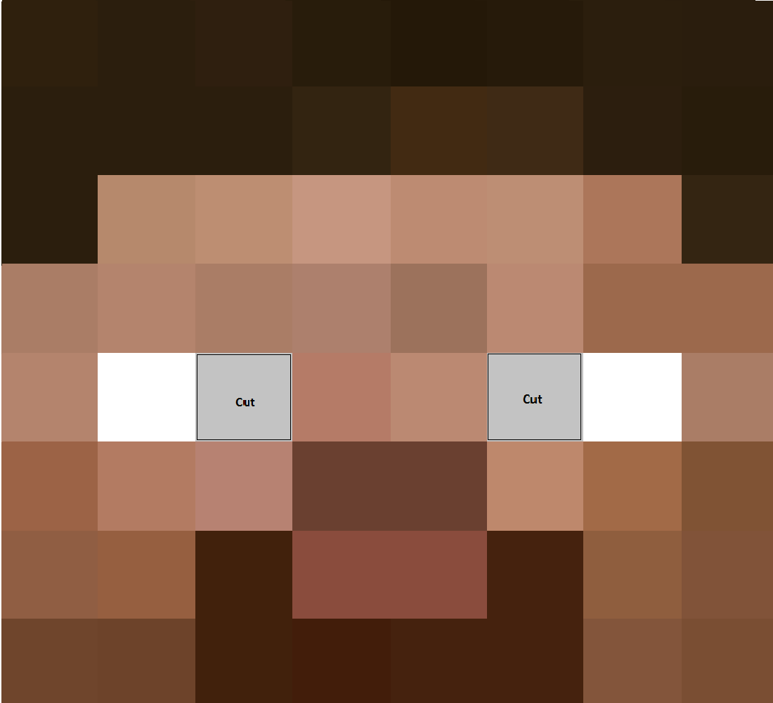 Minecraft Steve Face Template