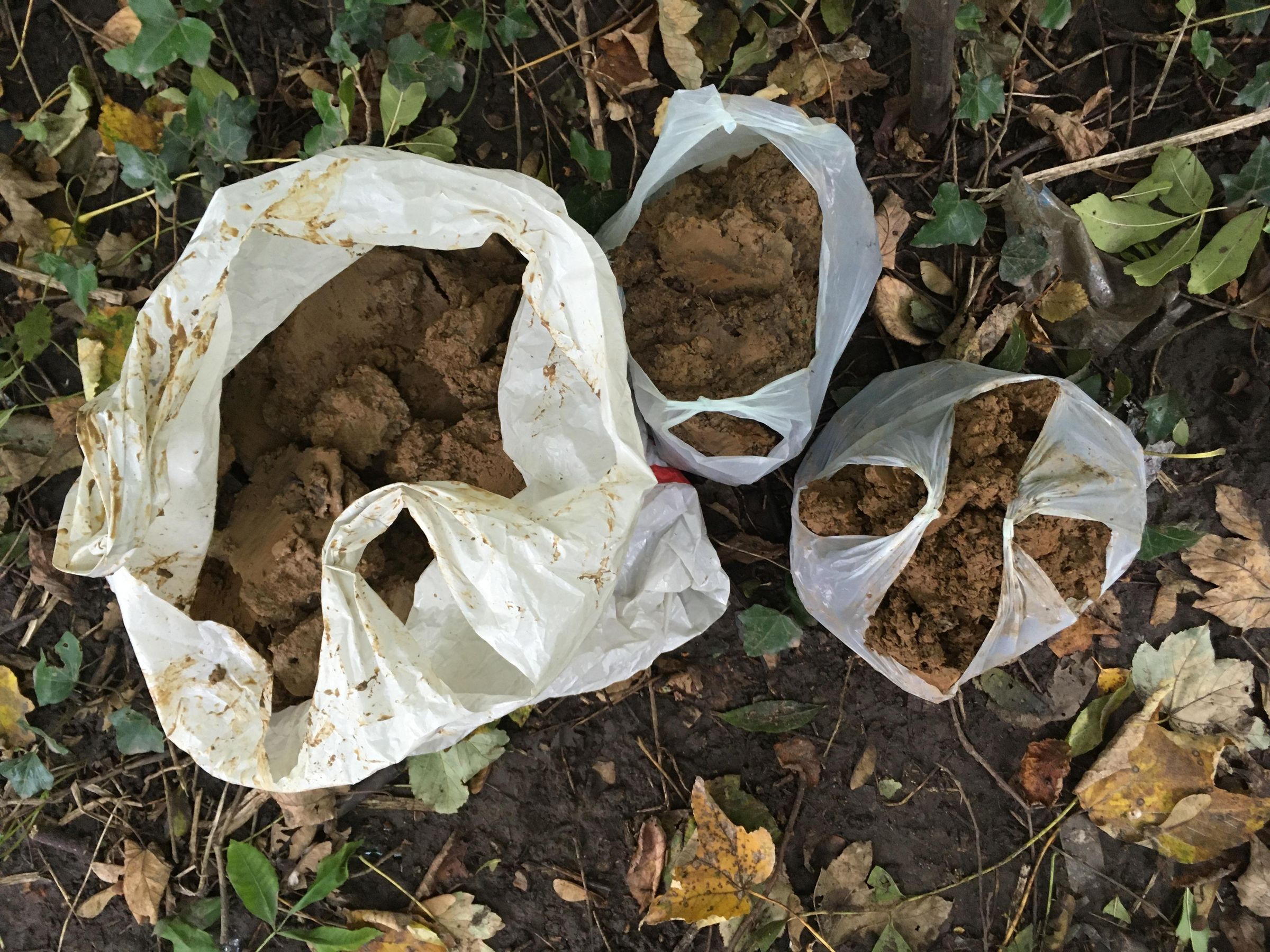 The River Clay Project - From Riverbed to Dining Table : 36 Steps (with ...