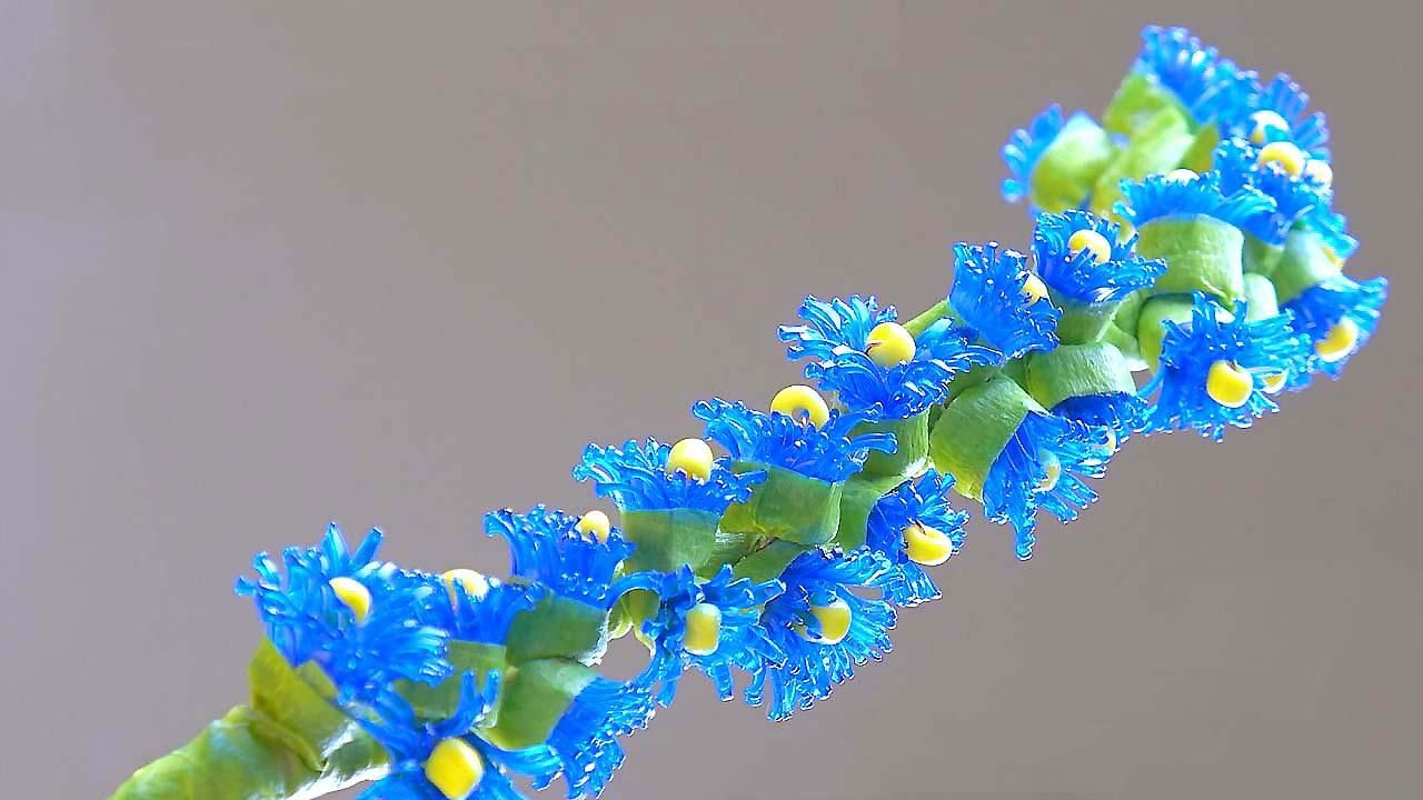 How to Make Very Easy and Beautiful Plastic Bottle Flower : 5 Steps ...