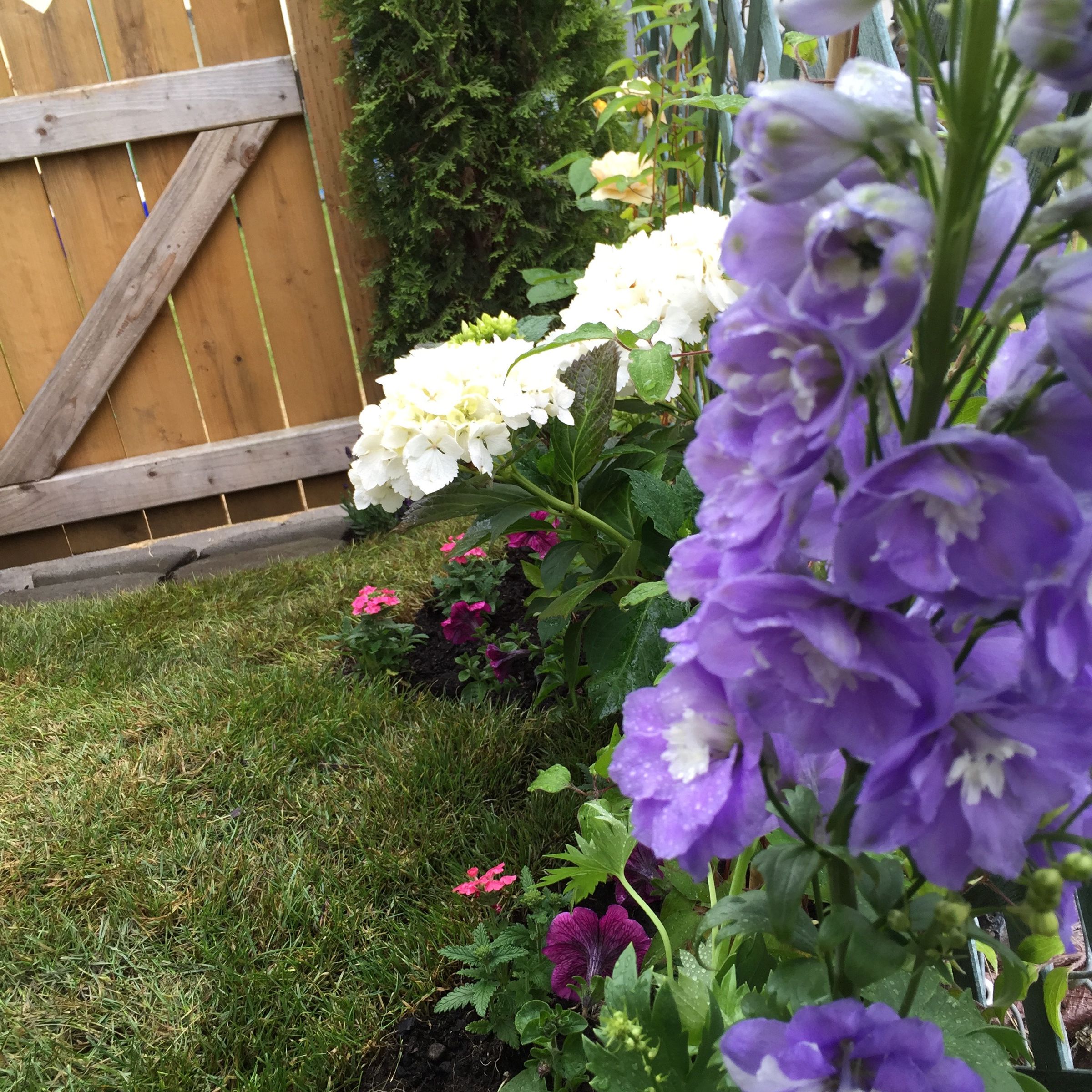 Secret Garden : 9 Steps (with Pictures) - Instructables