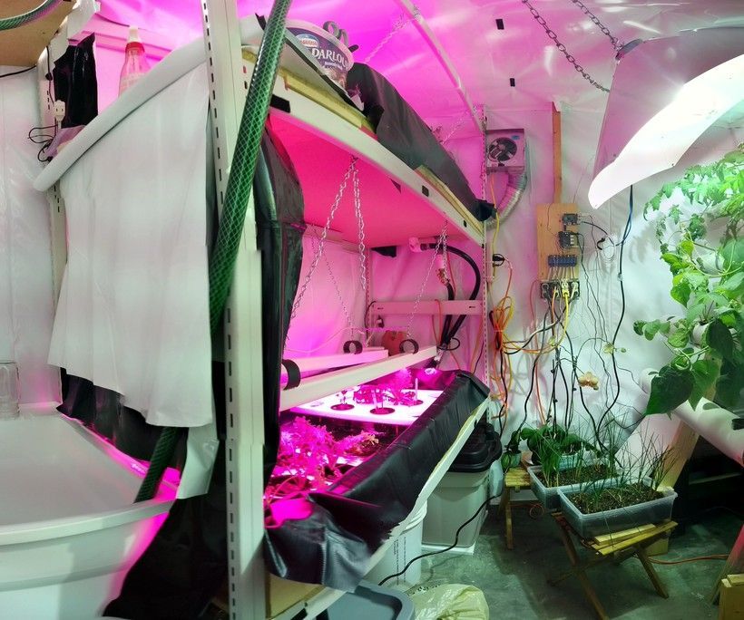 How to Build a Basement Hydroponic Garden : 20 Steps - Instructables