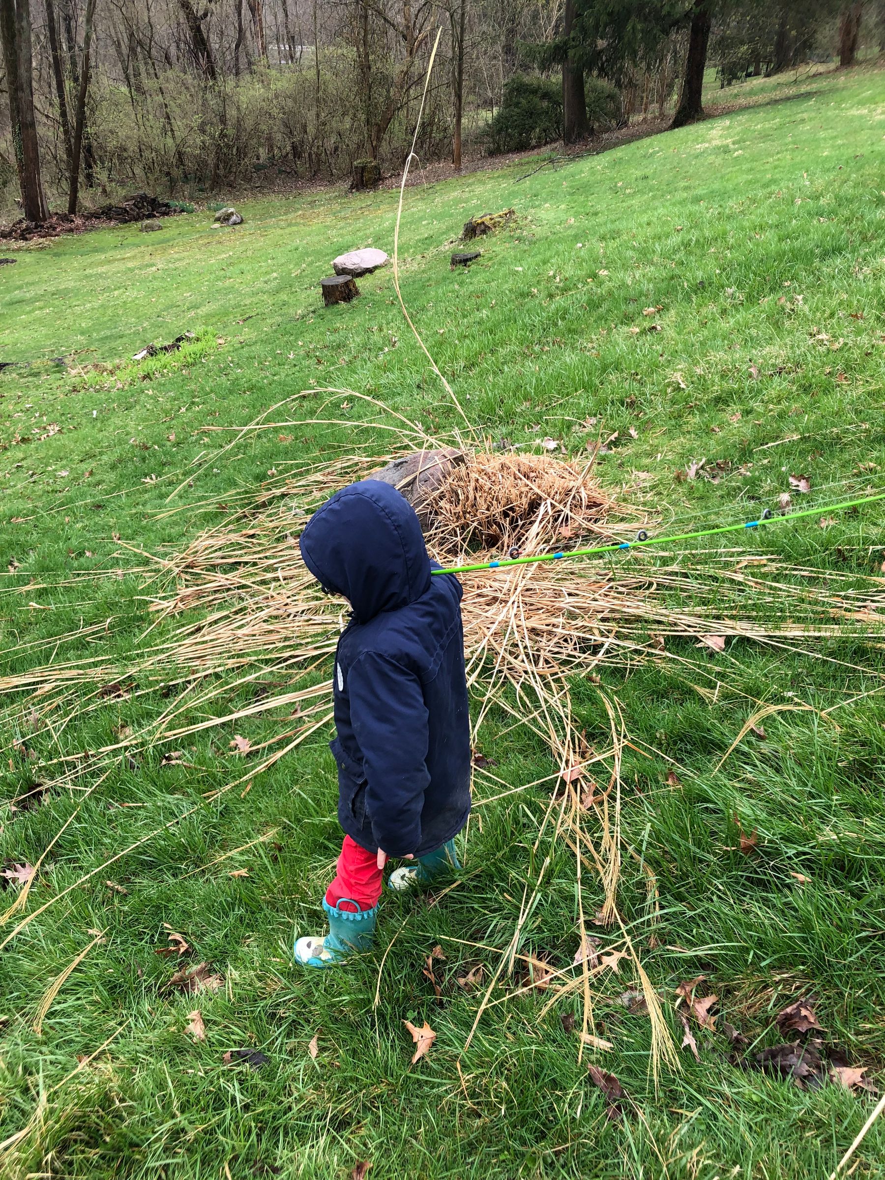 Log Path Cut Into a Hill : 5 Steps (with Pictures) - Instructables