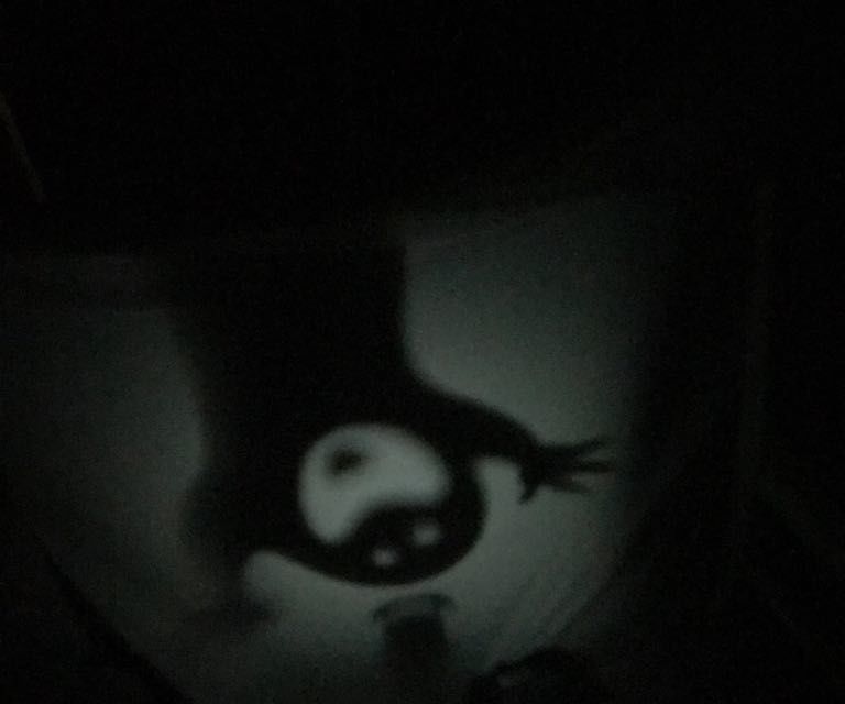 Ghost Hologram : 4 Steps (with Pictures) - Instructables