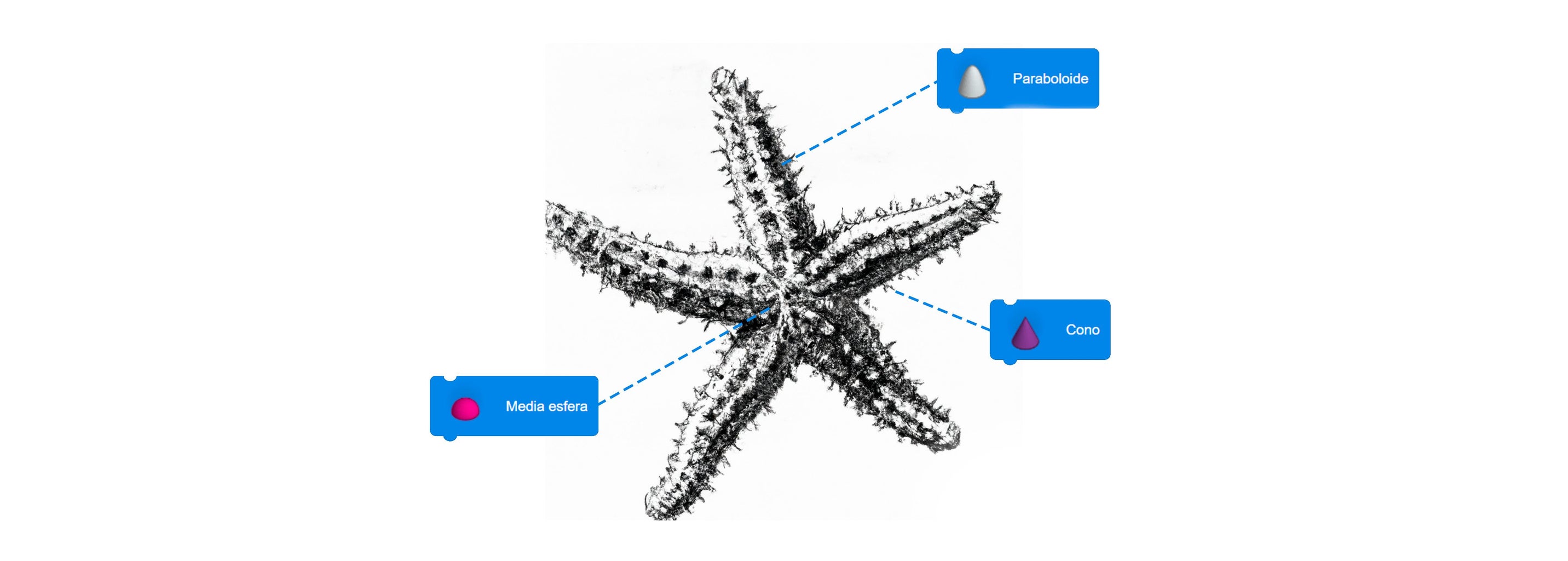 Re Discovering Nature With Tinkercad Codeblocks 14 Steps With