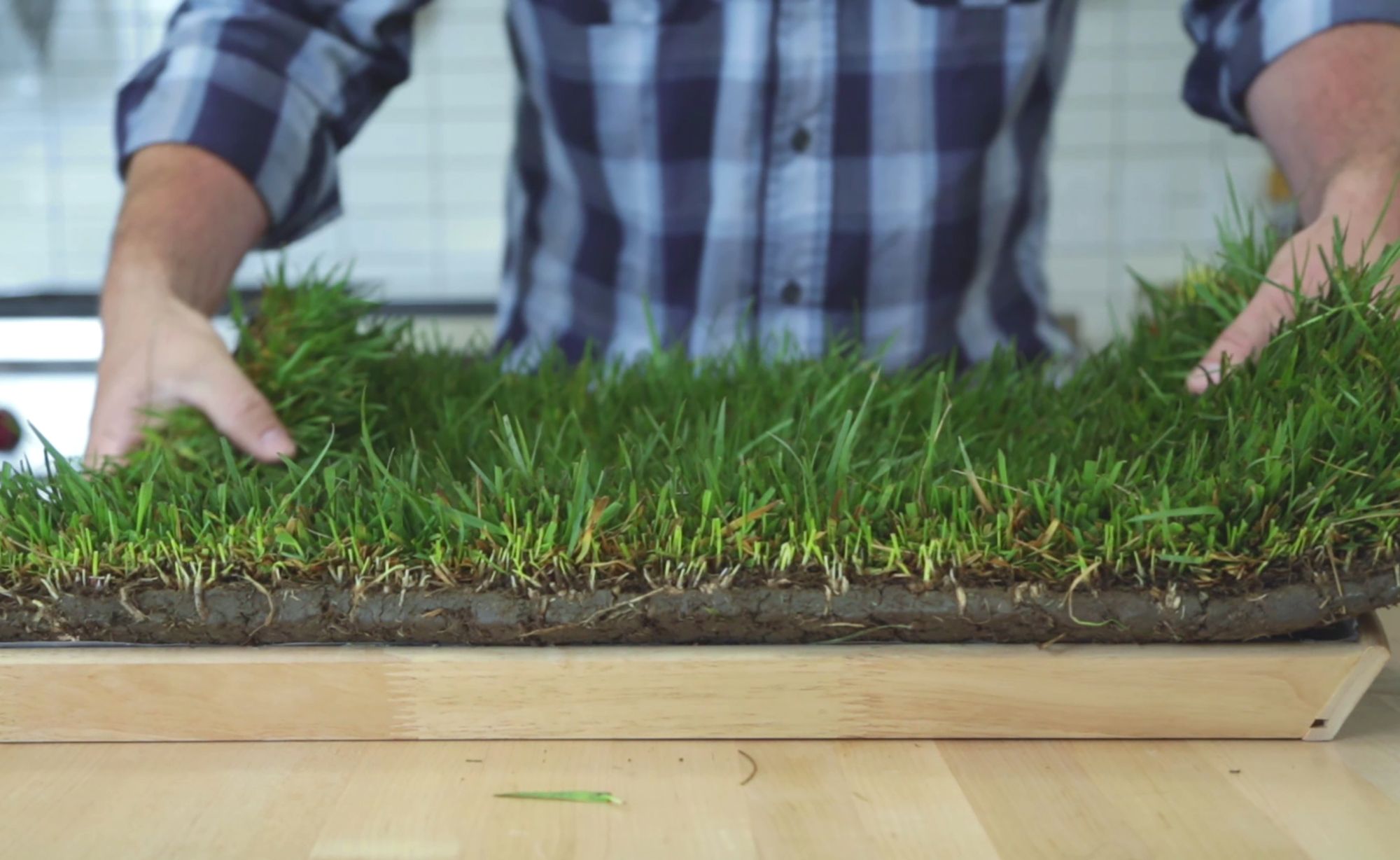 Grass Lunch Tray : 9 Steps (with Pictures) - Instructables