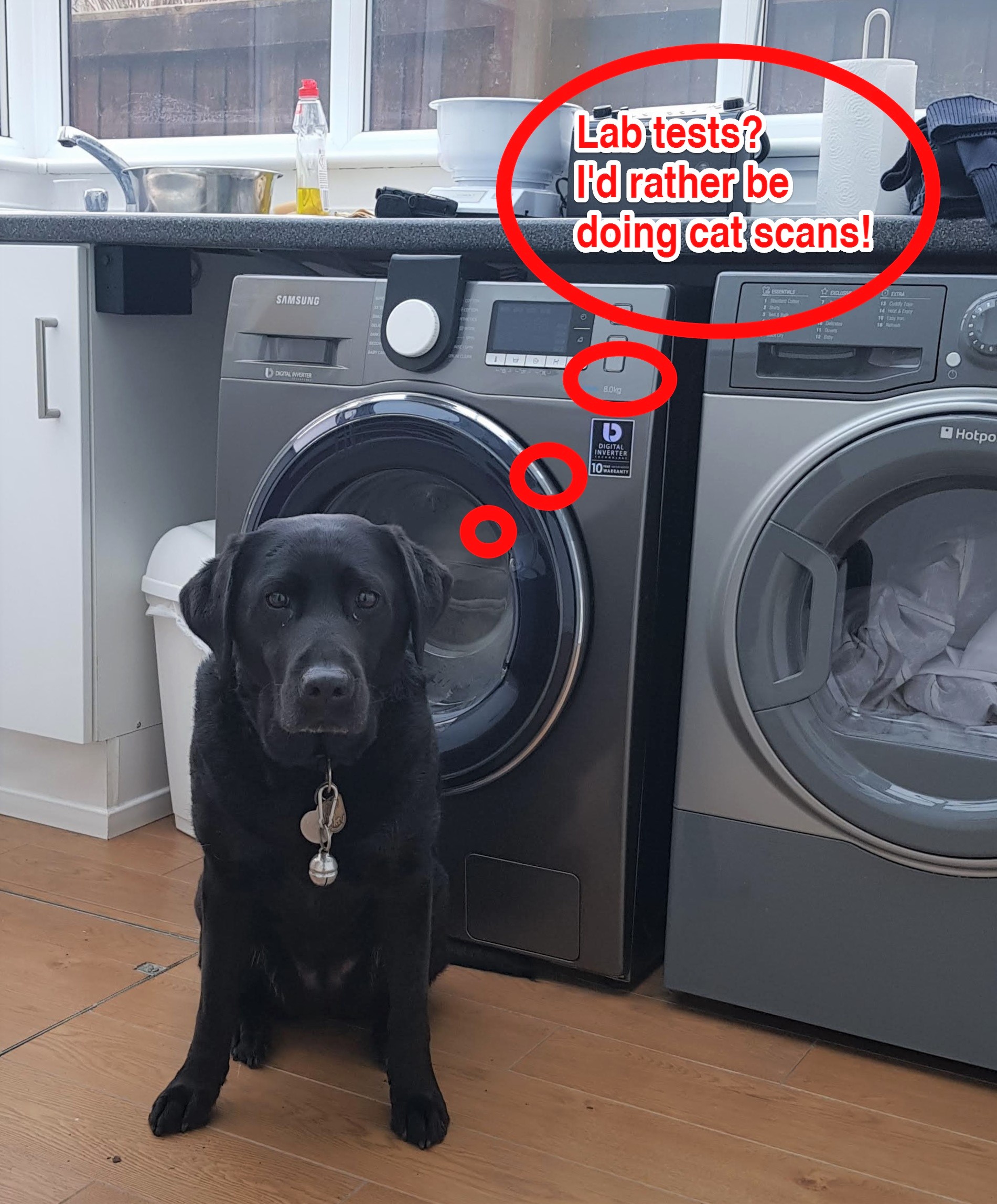 Talking Washing Machine Interface for the Blind AKA 'SOAP' : 20 Steps ...