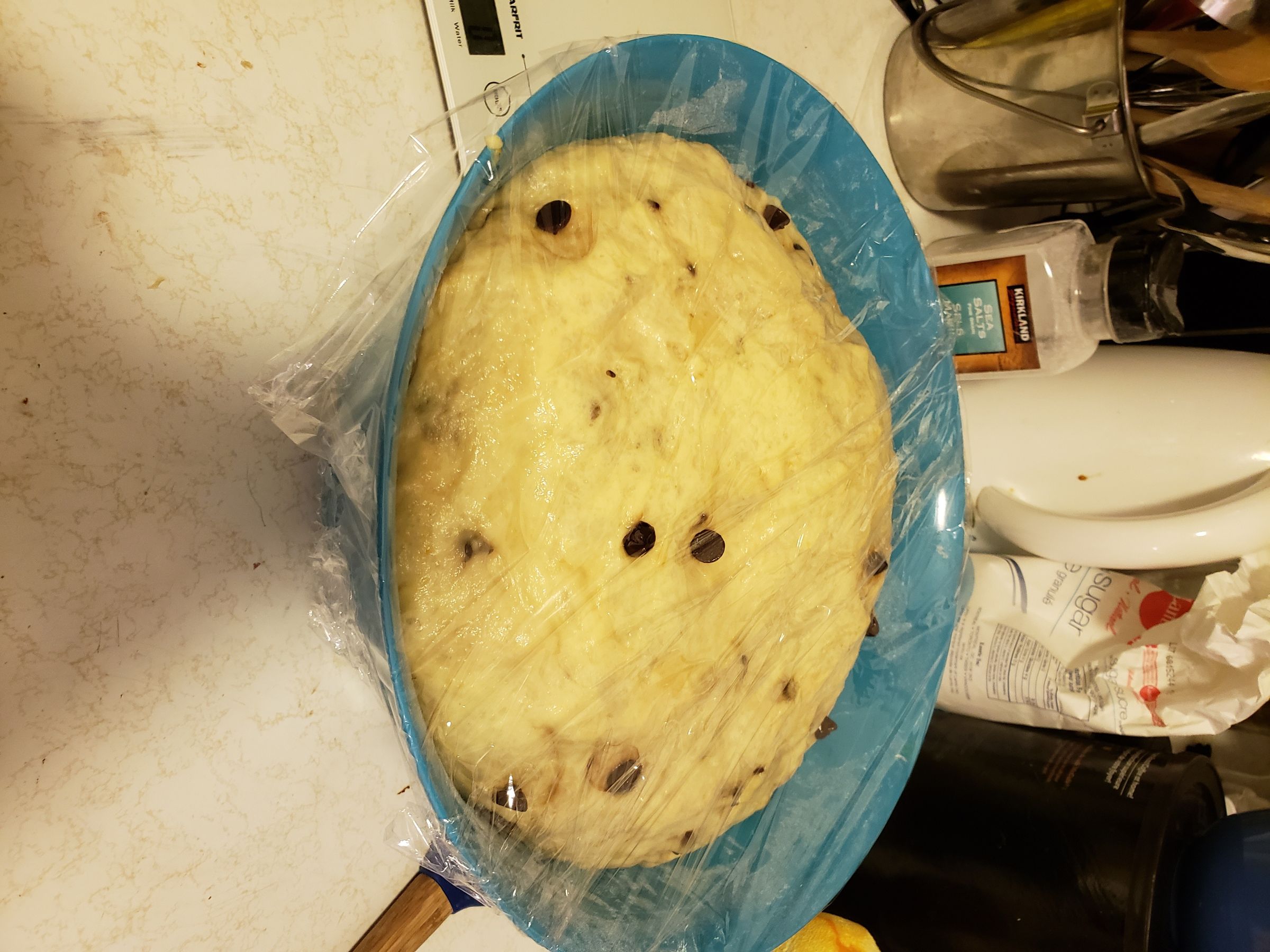 Homemade Panettone : 9 Steps (with Pictures) - Instructables