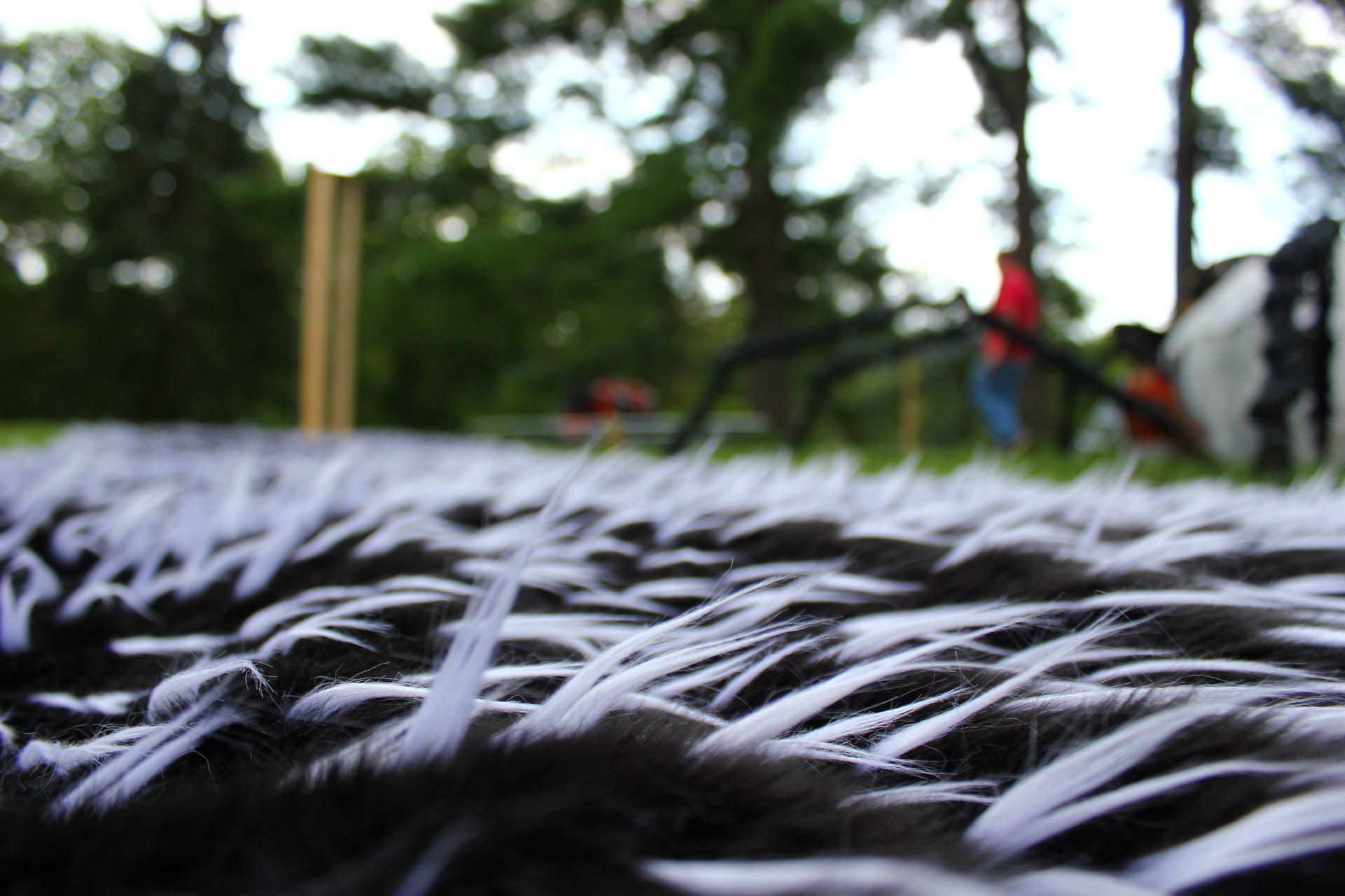 The Build of a Giant Spider : 7 Steps (with Pictures) - Instructables