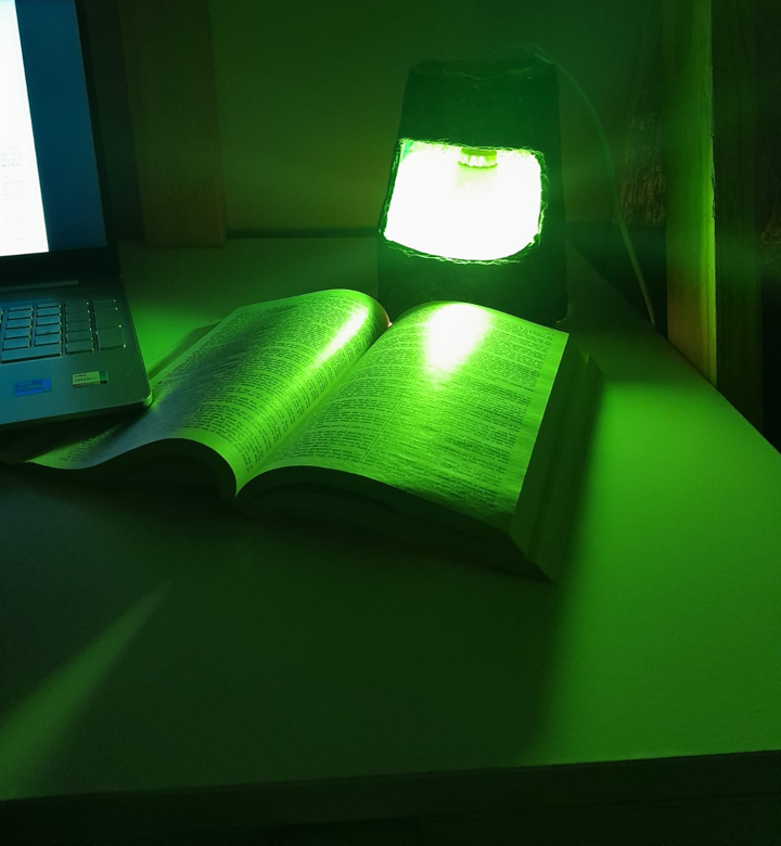 Biocone Bio Luminaire : 5 Steps - Instructables