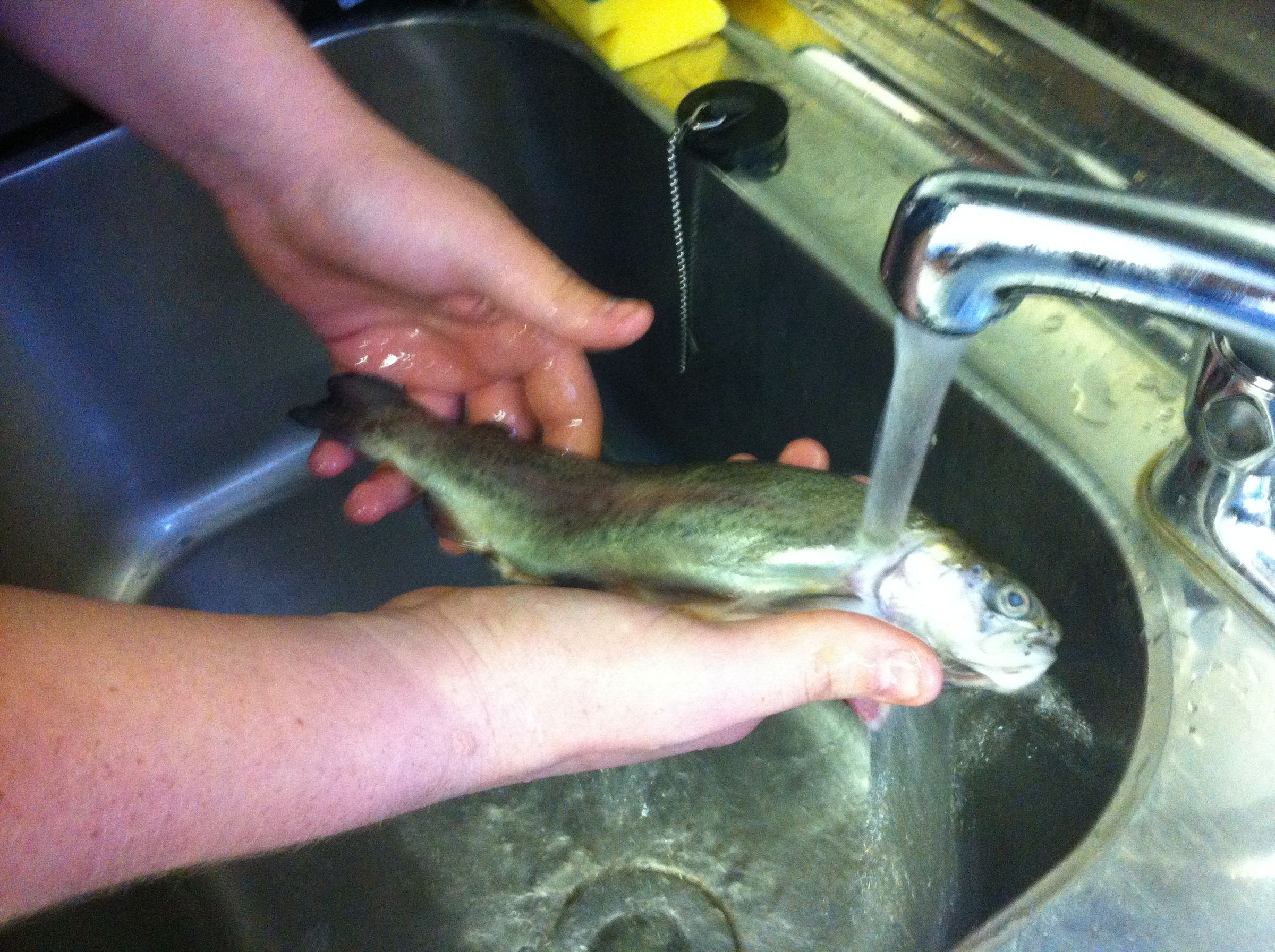 Cooking a Fish in Newspaper : 5 Steps (with Pictures) - Instructables