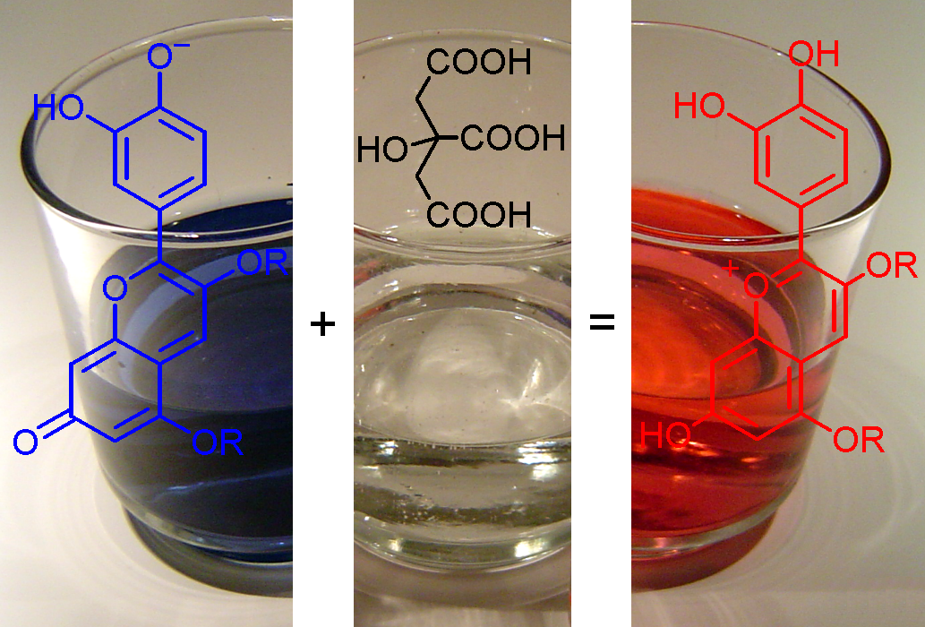 The Color-Changing Sports Drink : 4 Steps (with Pictures) - Instructables