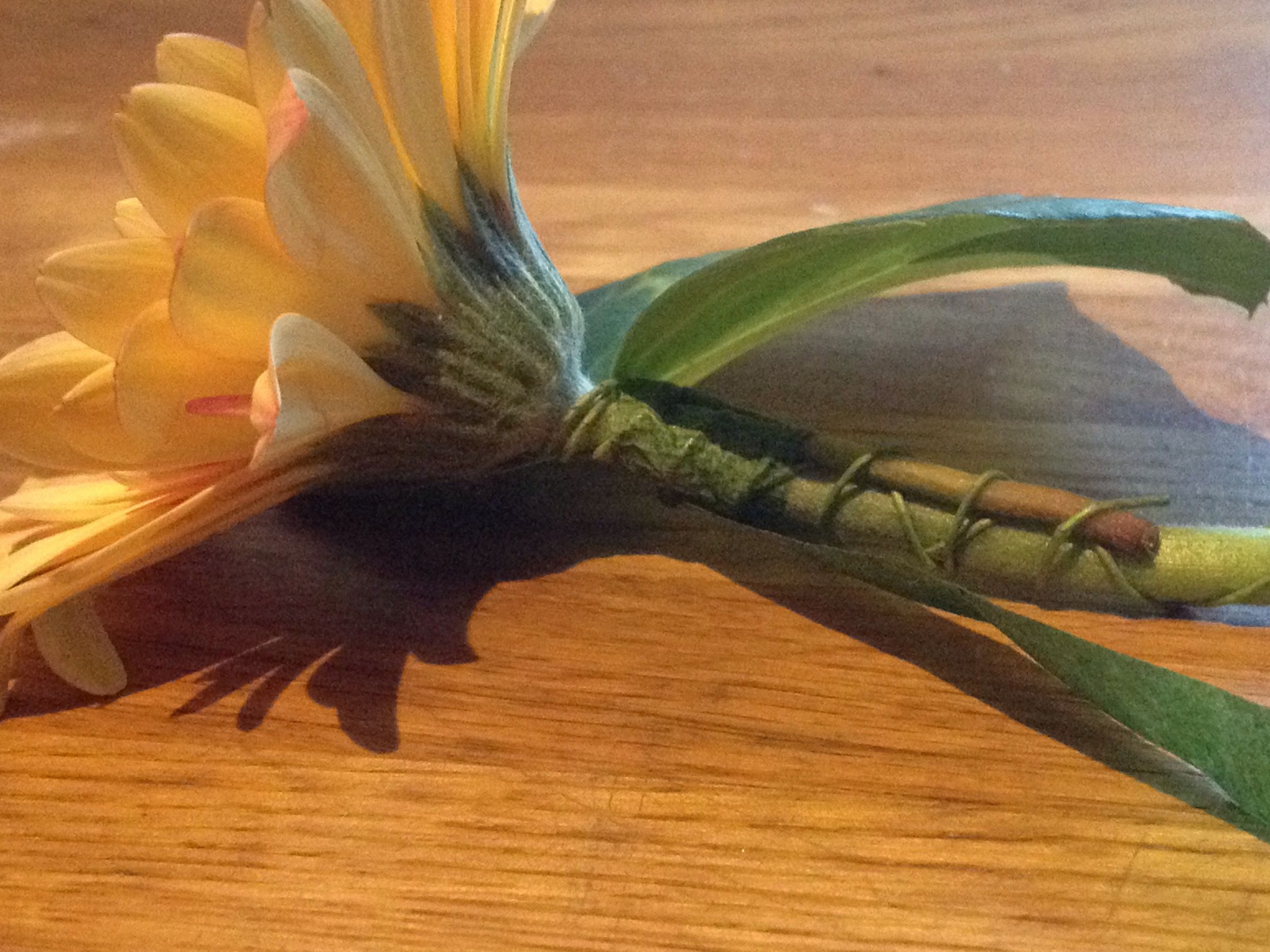 Easy Flower Corsages (Using Magnets) : 6 Steps - Instructables