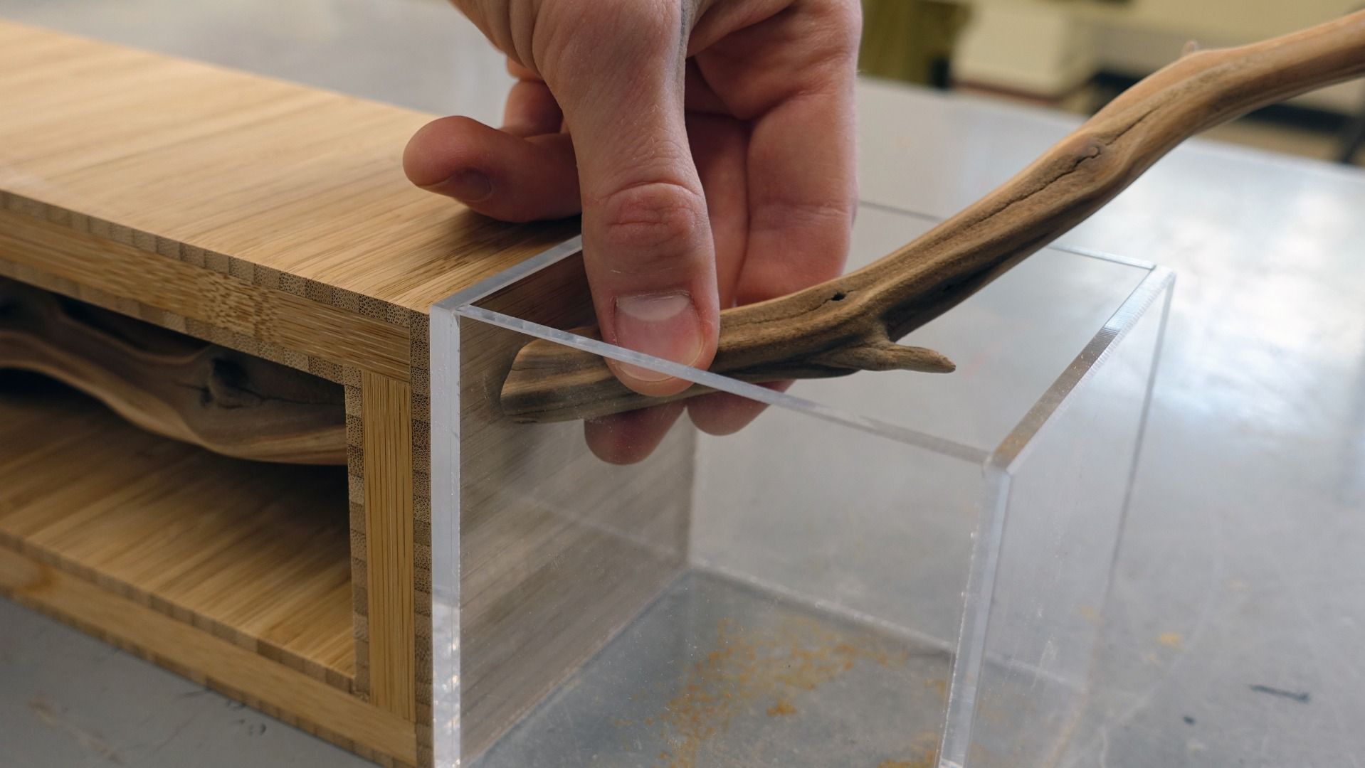 Concept for a Sculptural Aquarium Installation // LOOKDOWN : 8 Steps ...