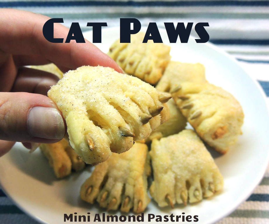 Cat Paws : 4 Steps (with Pictures) - Instructables