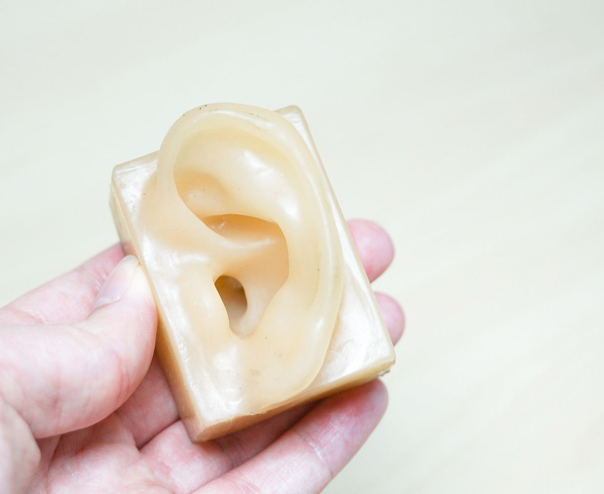 How to Cast an Ear in Plaster | DIY Earring Display Stand for Jewellery ...