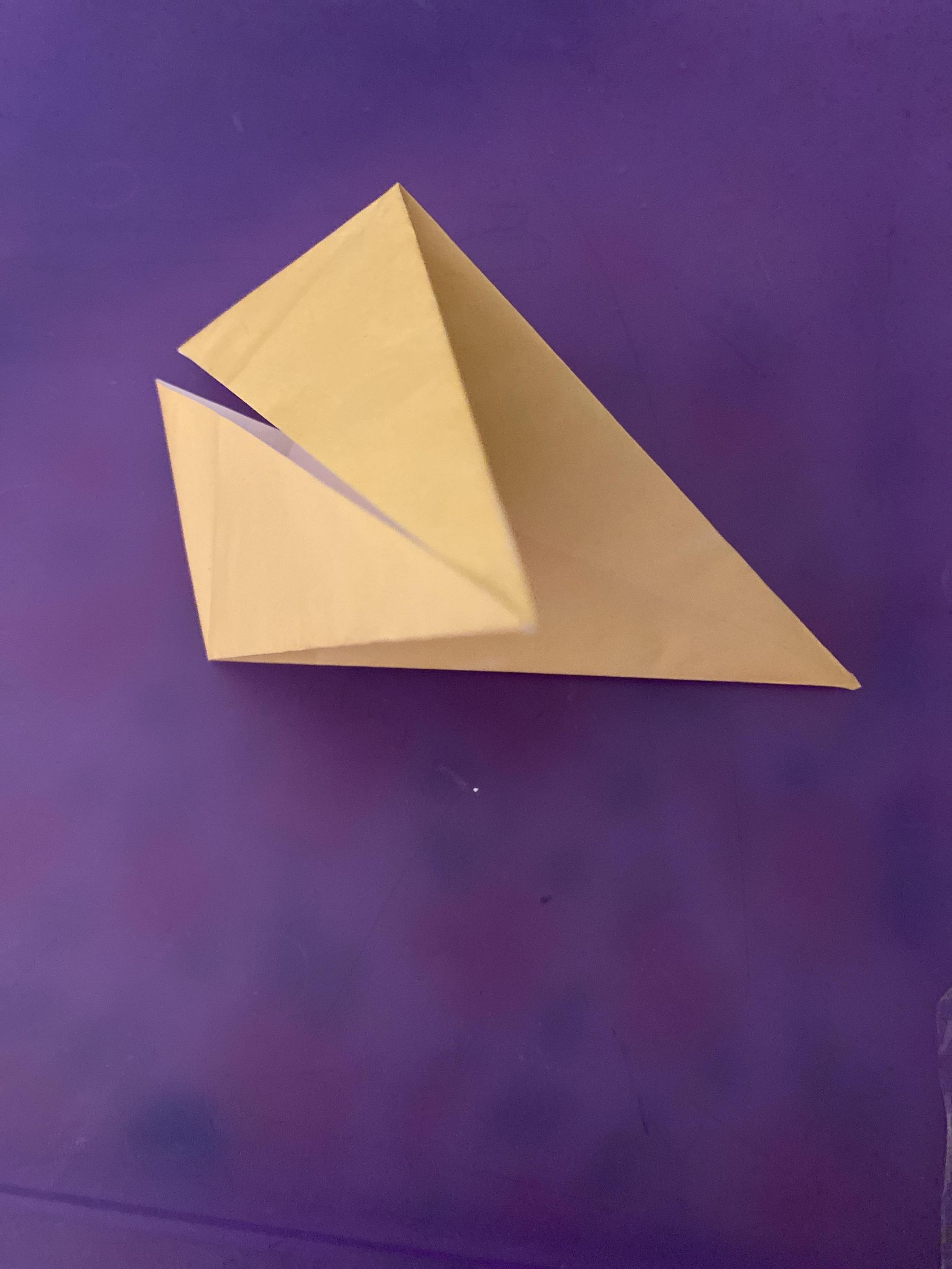 Origami Rat : 27 Steps - Instructables