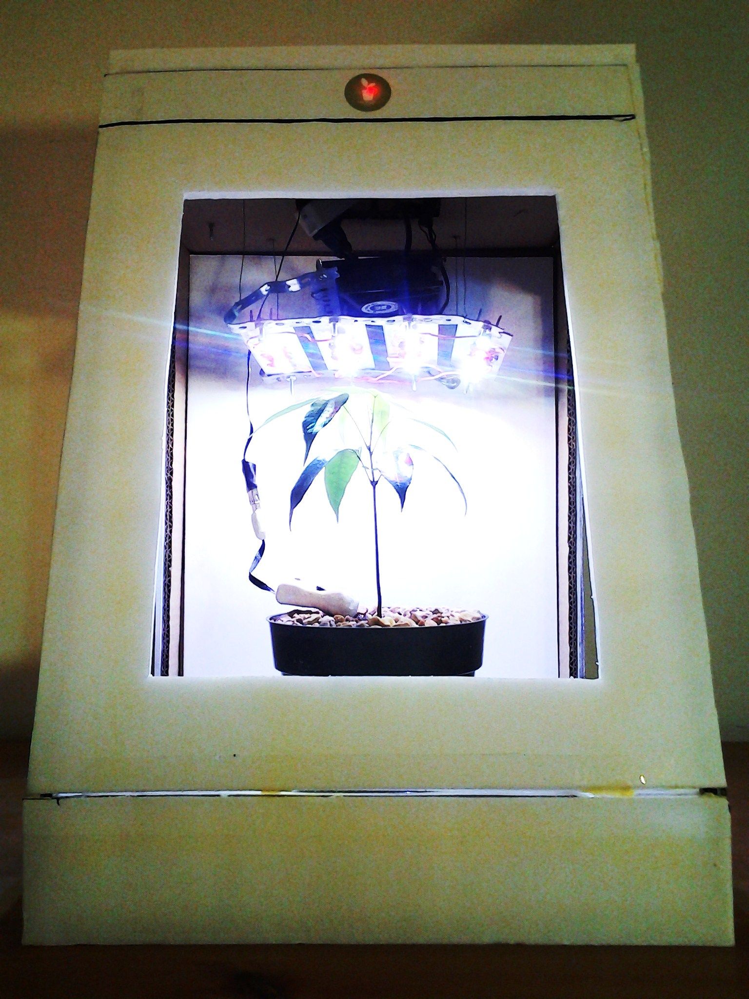 The Plant Box : 6 Steps - Instructables