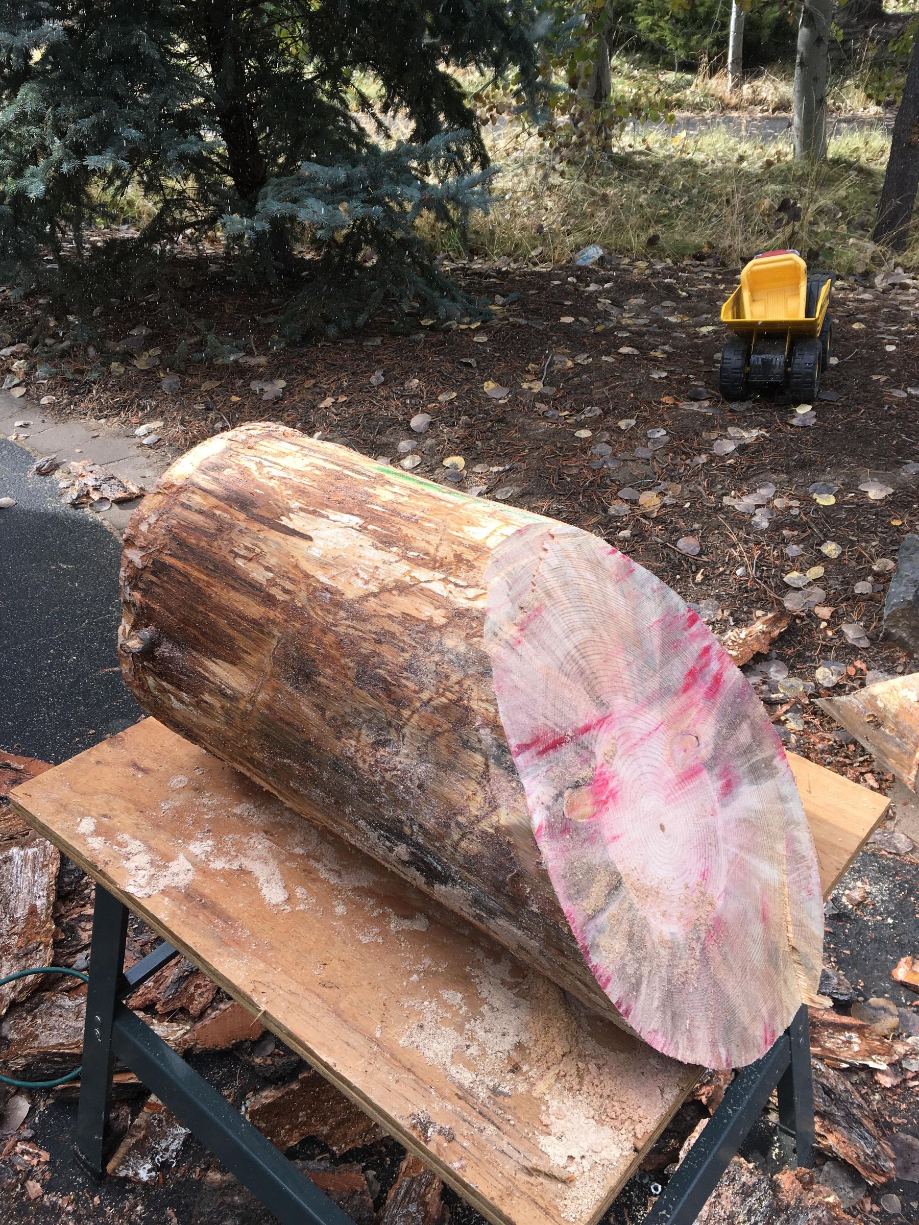 Wooden Deer Head : 11 Steps (with Pictures) - Instructables