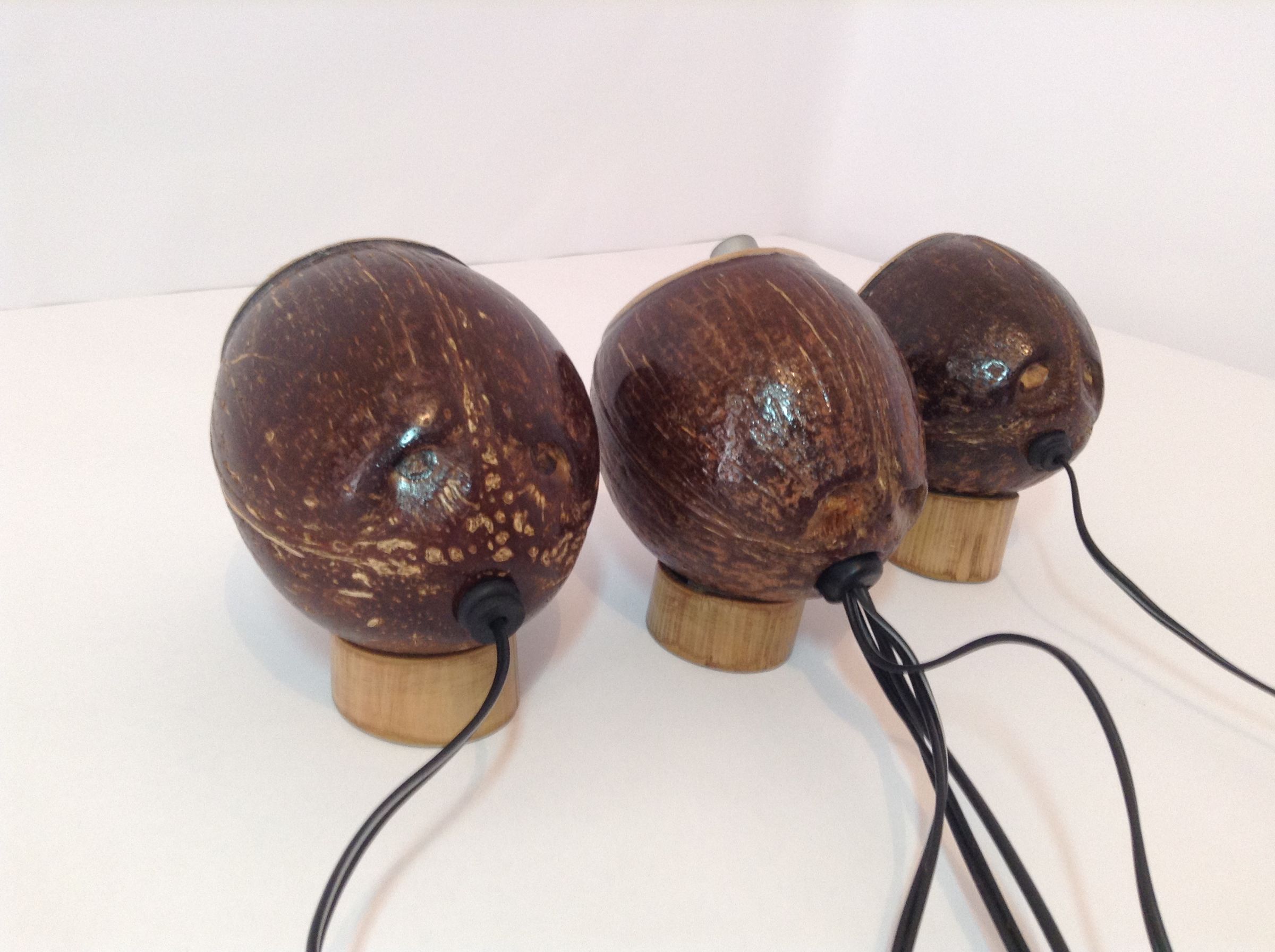 Coconut Speaker. : 4 Steps (with Pictures) - Instructables