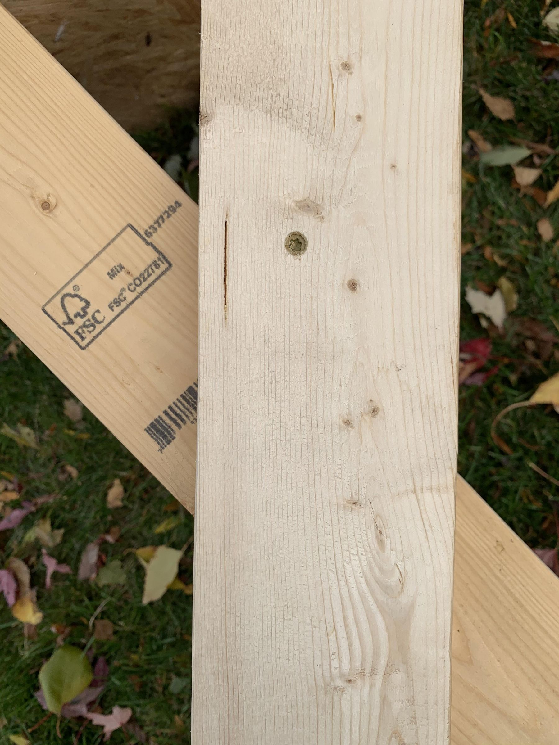 Skeleton Tea Party Decorations : 7 Steps (with Pictures) - Instructables