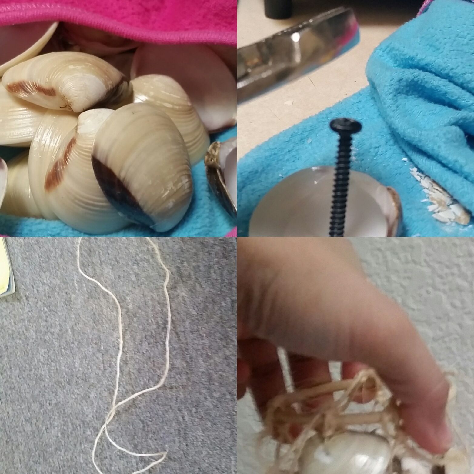 DIY Clam Shell Wind Chime : 4 Steps (with Pictures) - Instructables