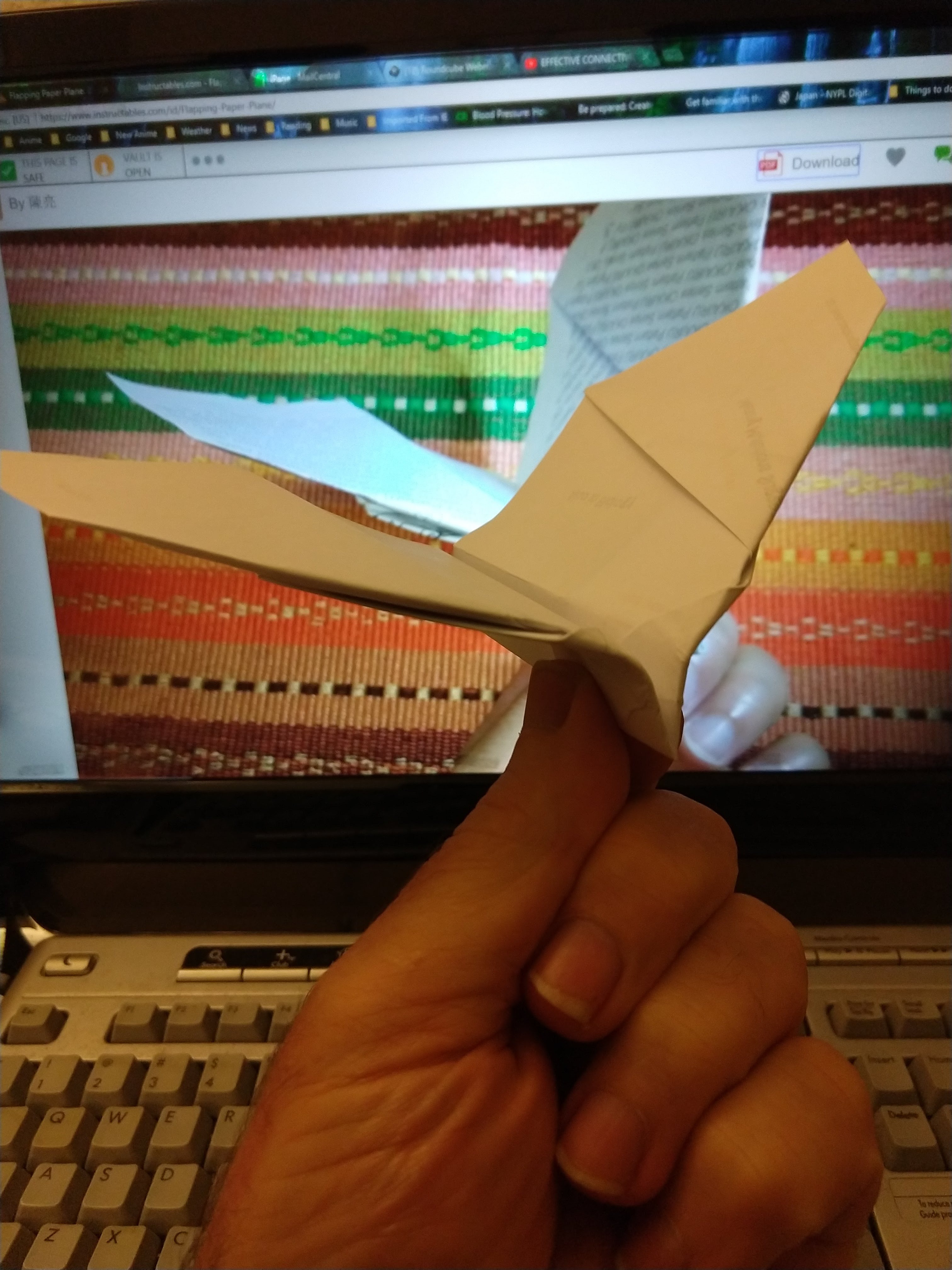 Flapping Paper Plane : 23 Steps (with Pictures) - Instructables