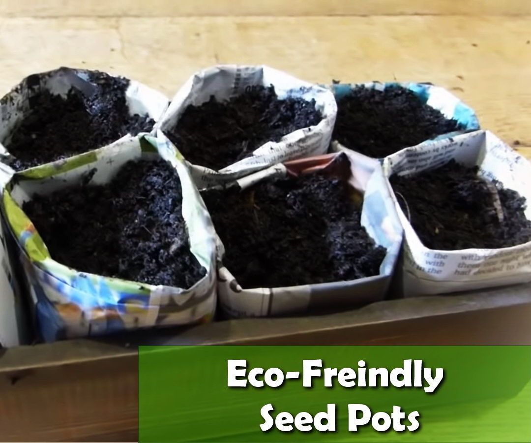How to Start Seeds Without Plastic Pots - DIY Eco-Friendly Seed ...