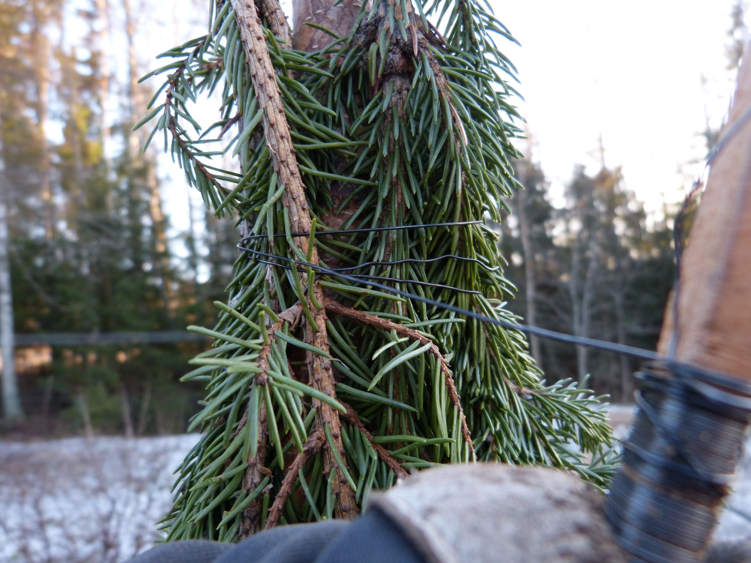 Easy Whimsical Christmas Trees From Branches : 9 Steps (with Pictures ...