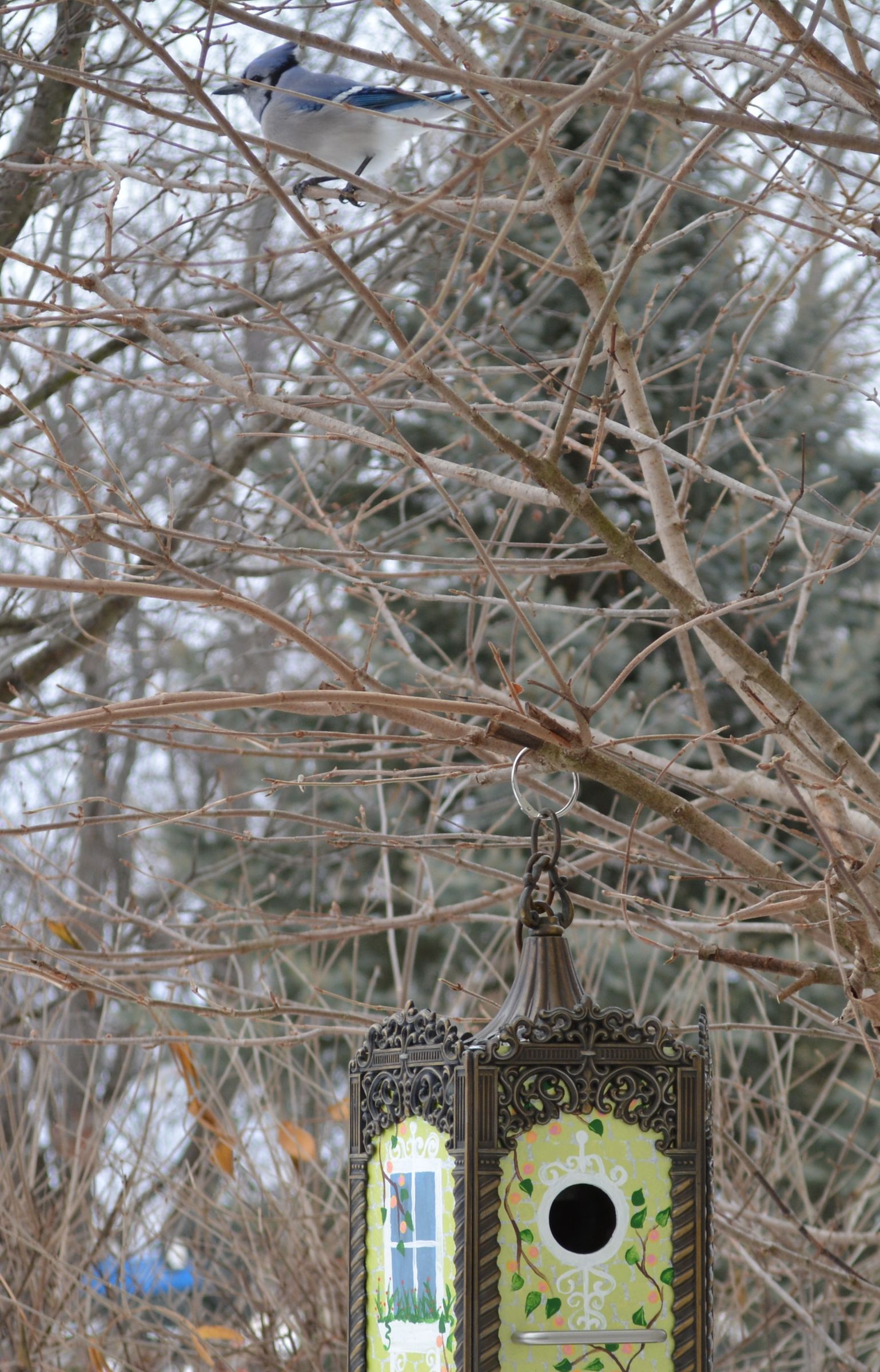 PORCH LIGHT BIRDHOUSE: : 5 Steps (with Pictures) - Instructables